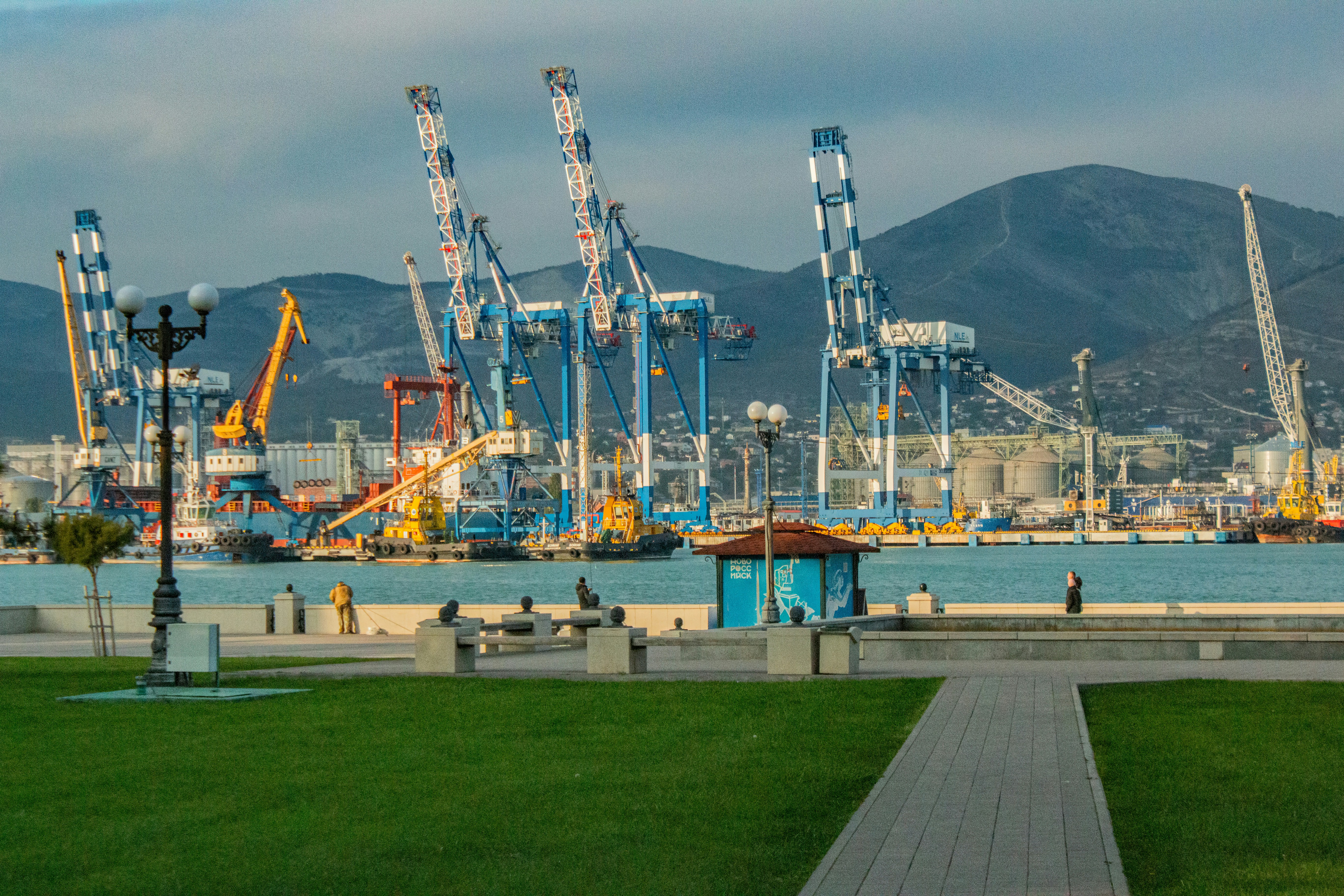 A large body of water with lots of cranes in the background photo ...