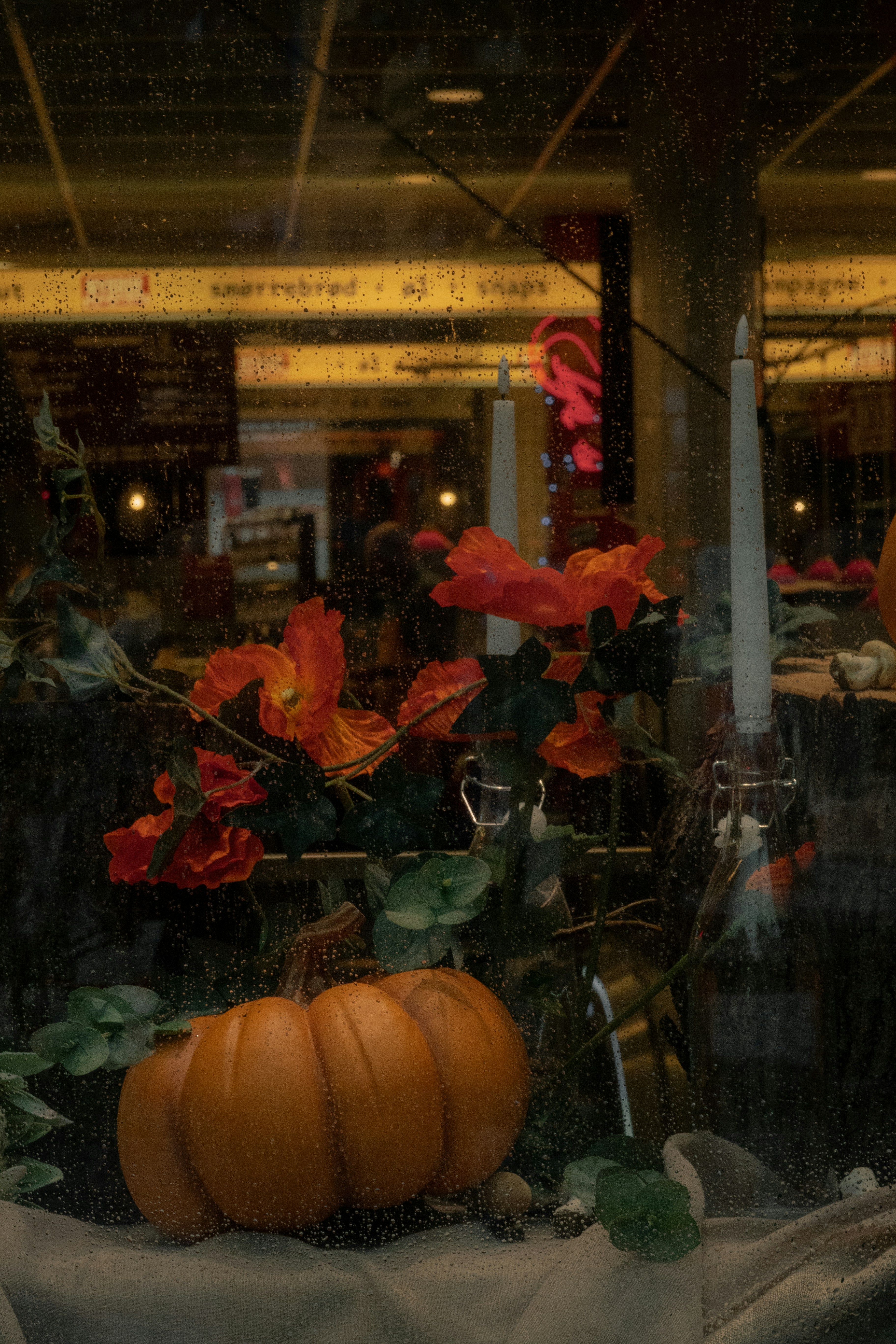 Pumpkin Still-Life Under Snow-Dusted Glass with Candles and Crimson Flowers