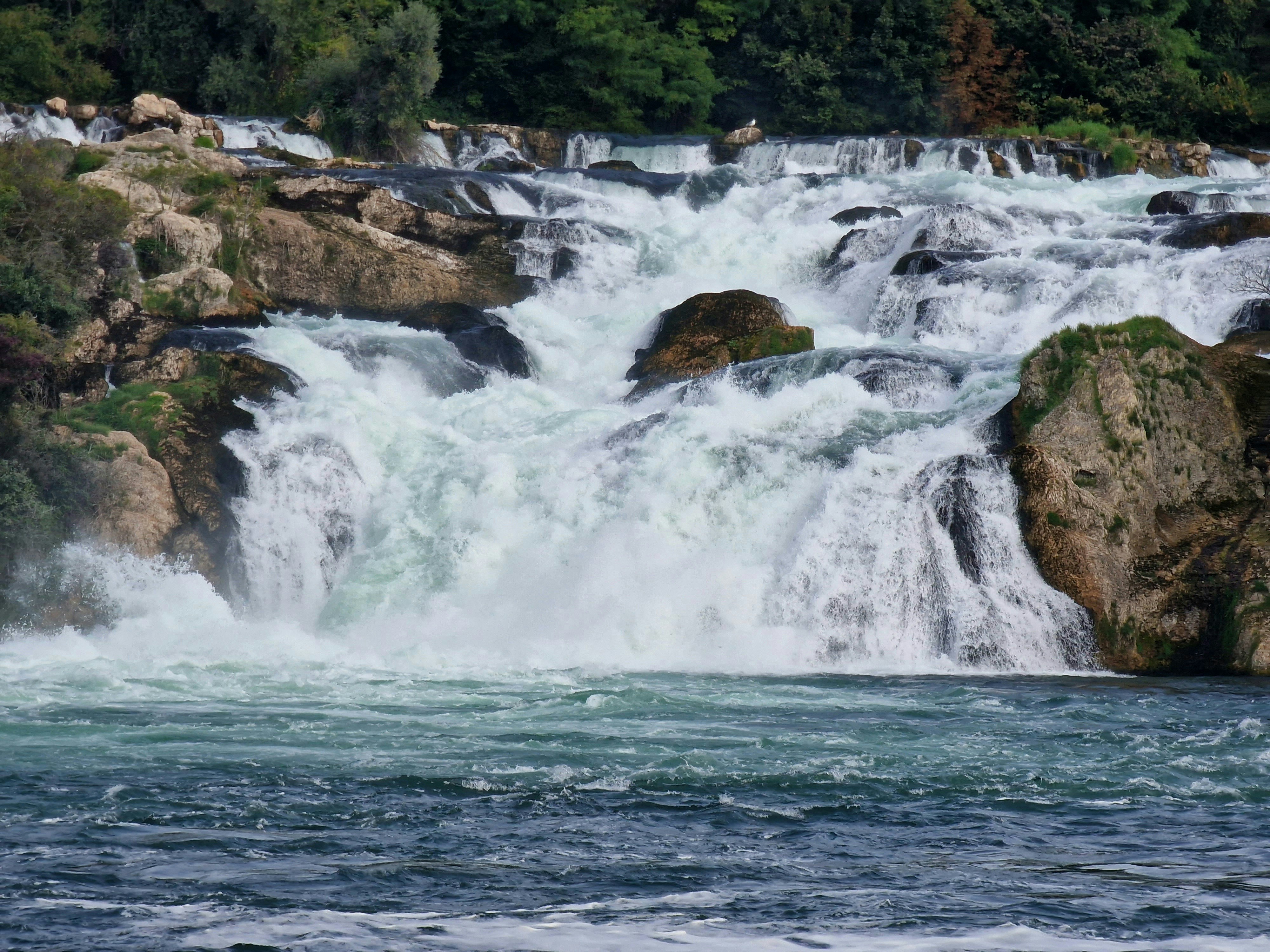 Granite Stairway to Whitewater: Forested Fallscape