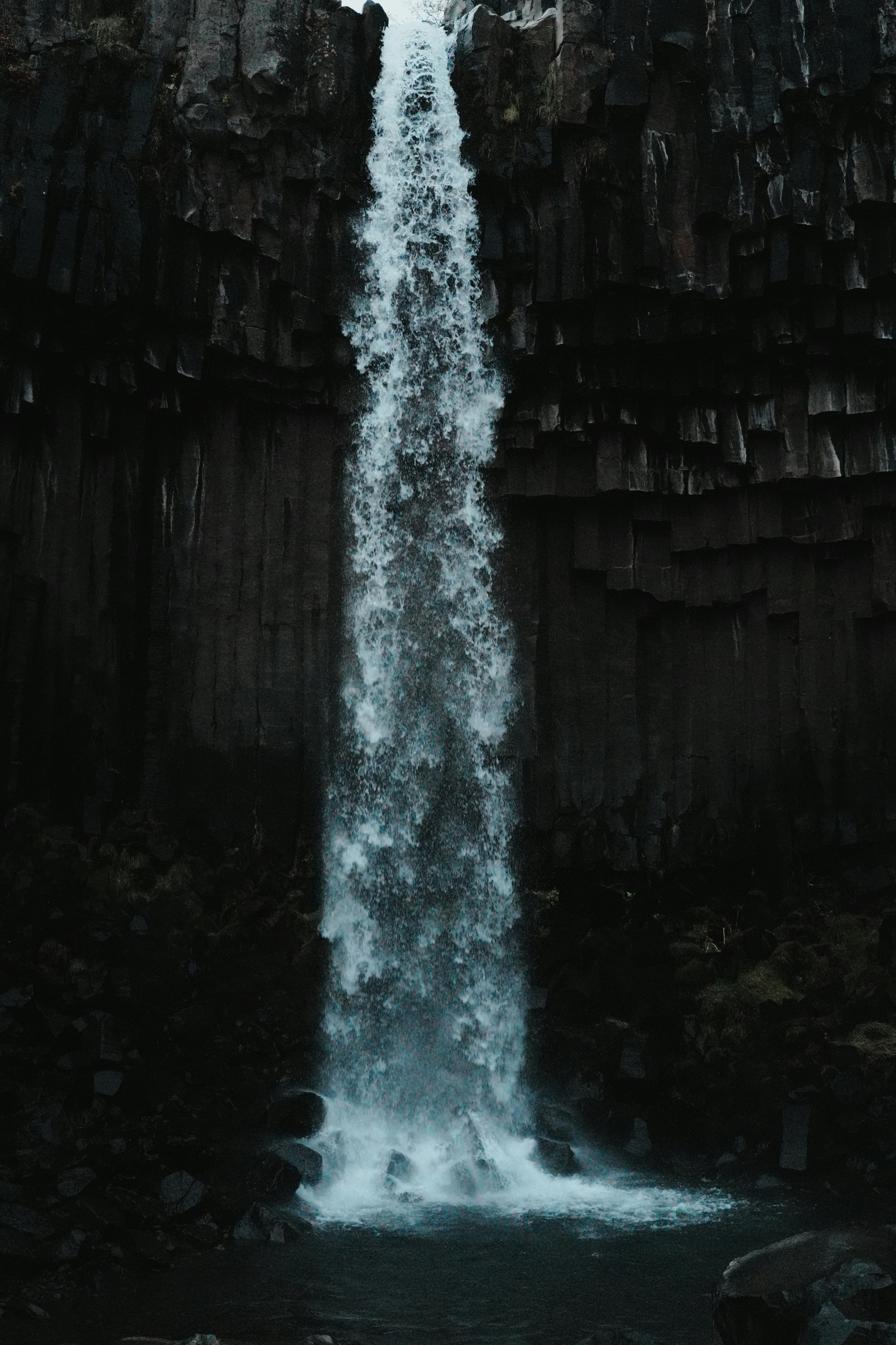 Photo by Ruitong Xie with Sony Alpha 7C II