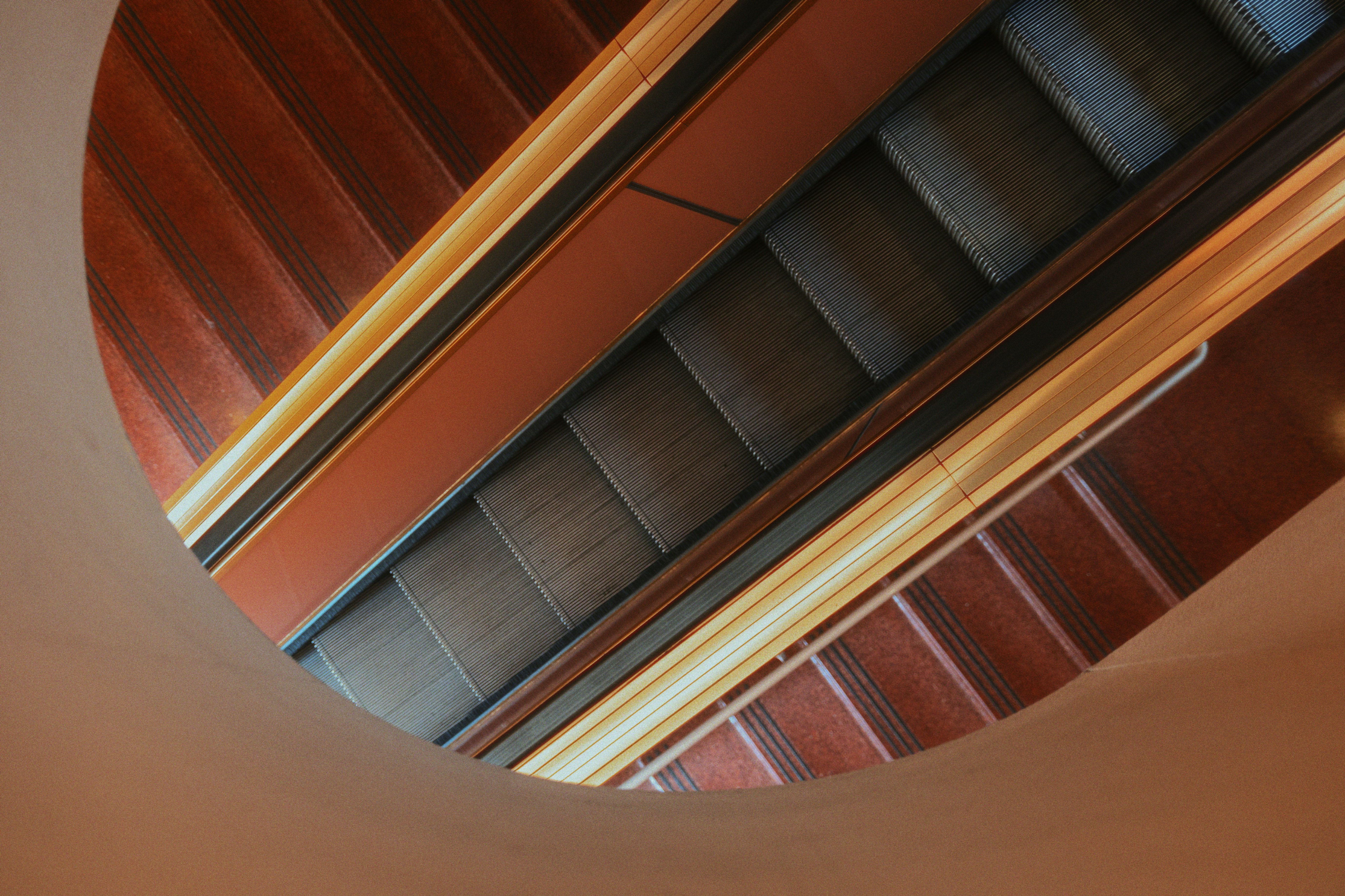 Photo by Jason Leung with Canon EOS R6