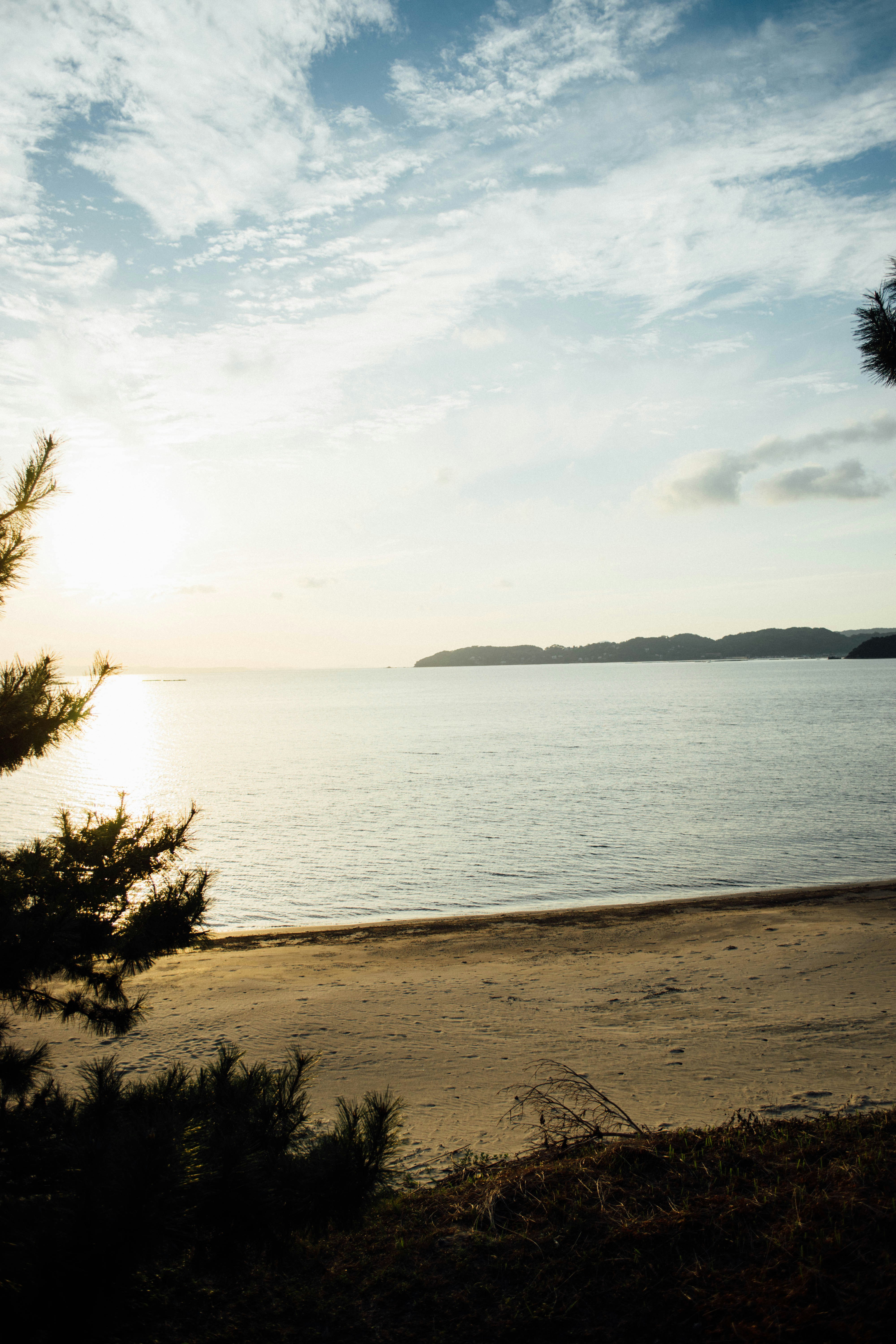 Photo by Leopold Maitre with Sony Alpha 7