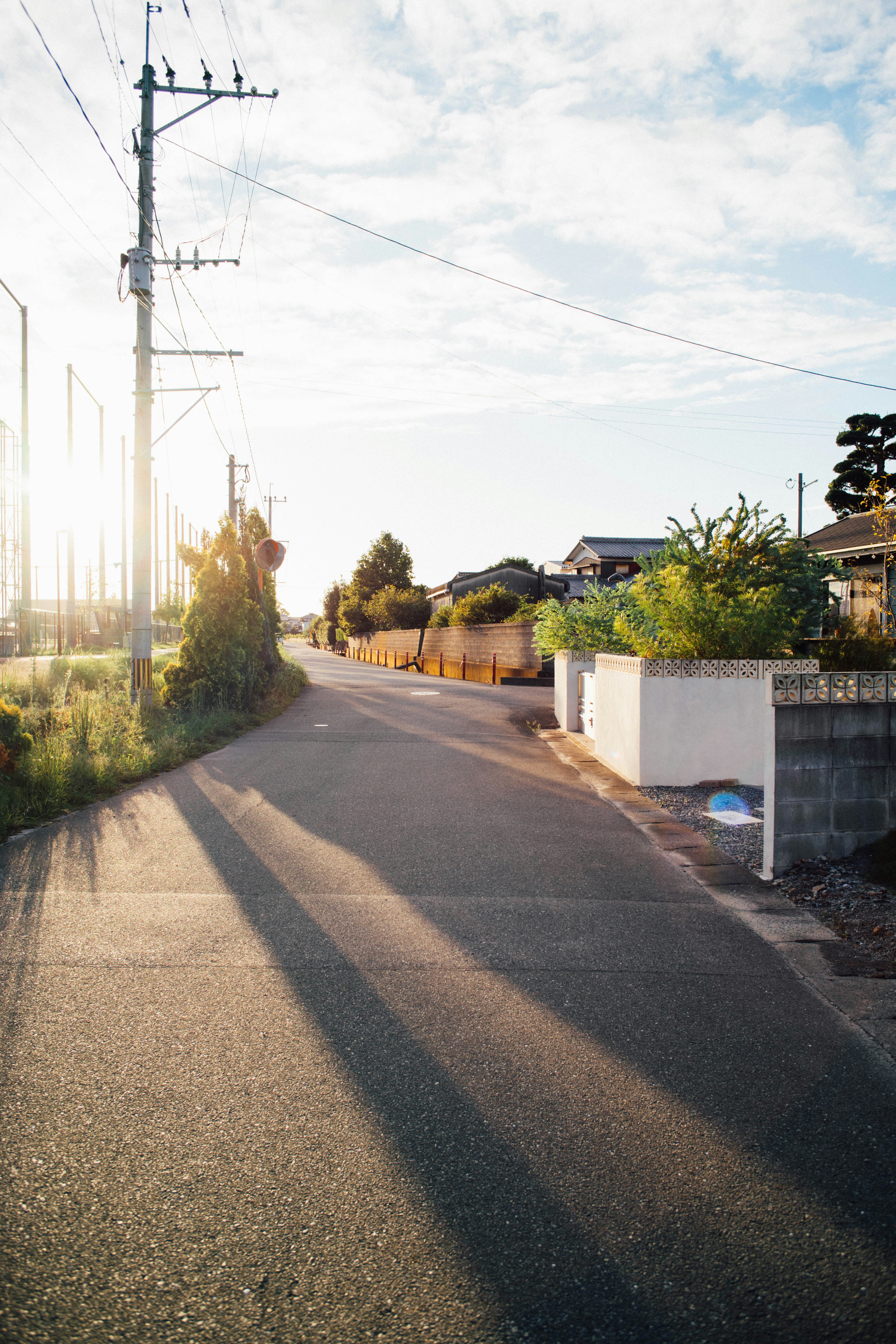 Golden Hour Street: The Long Quiet Road