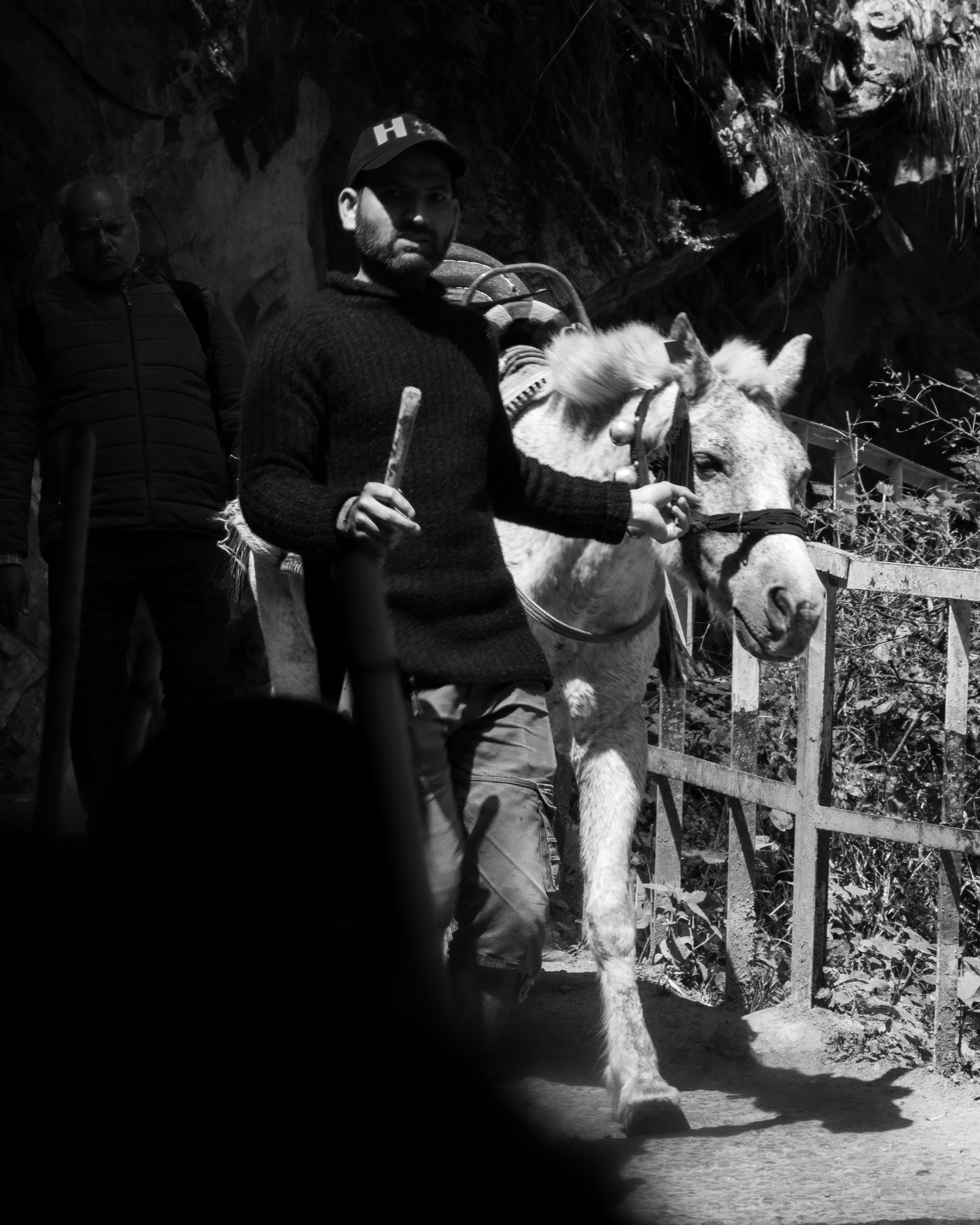 Rider and Horse in Shadowed Light