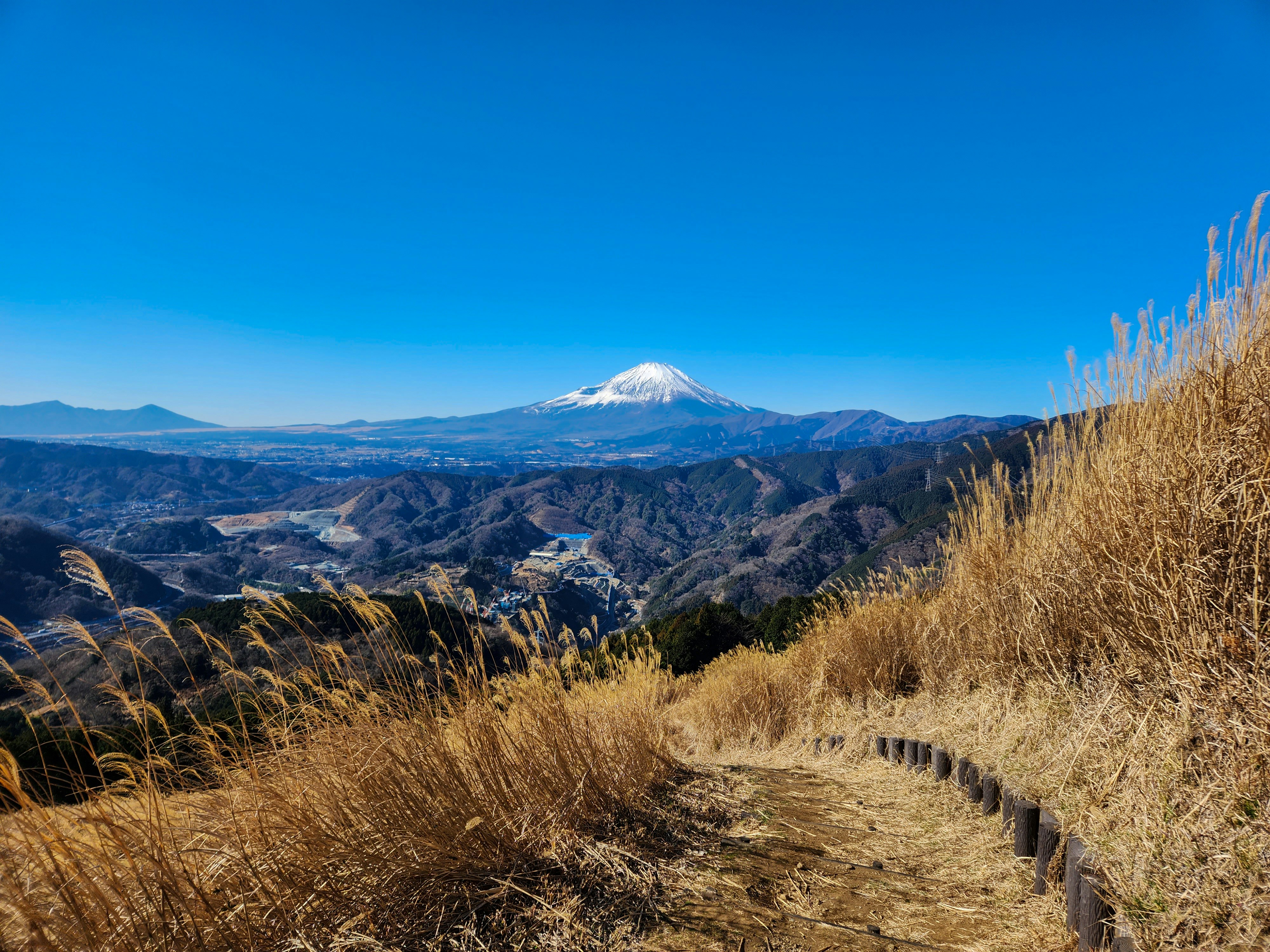 Snow-Crowned Peak Over Golden Hills