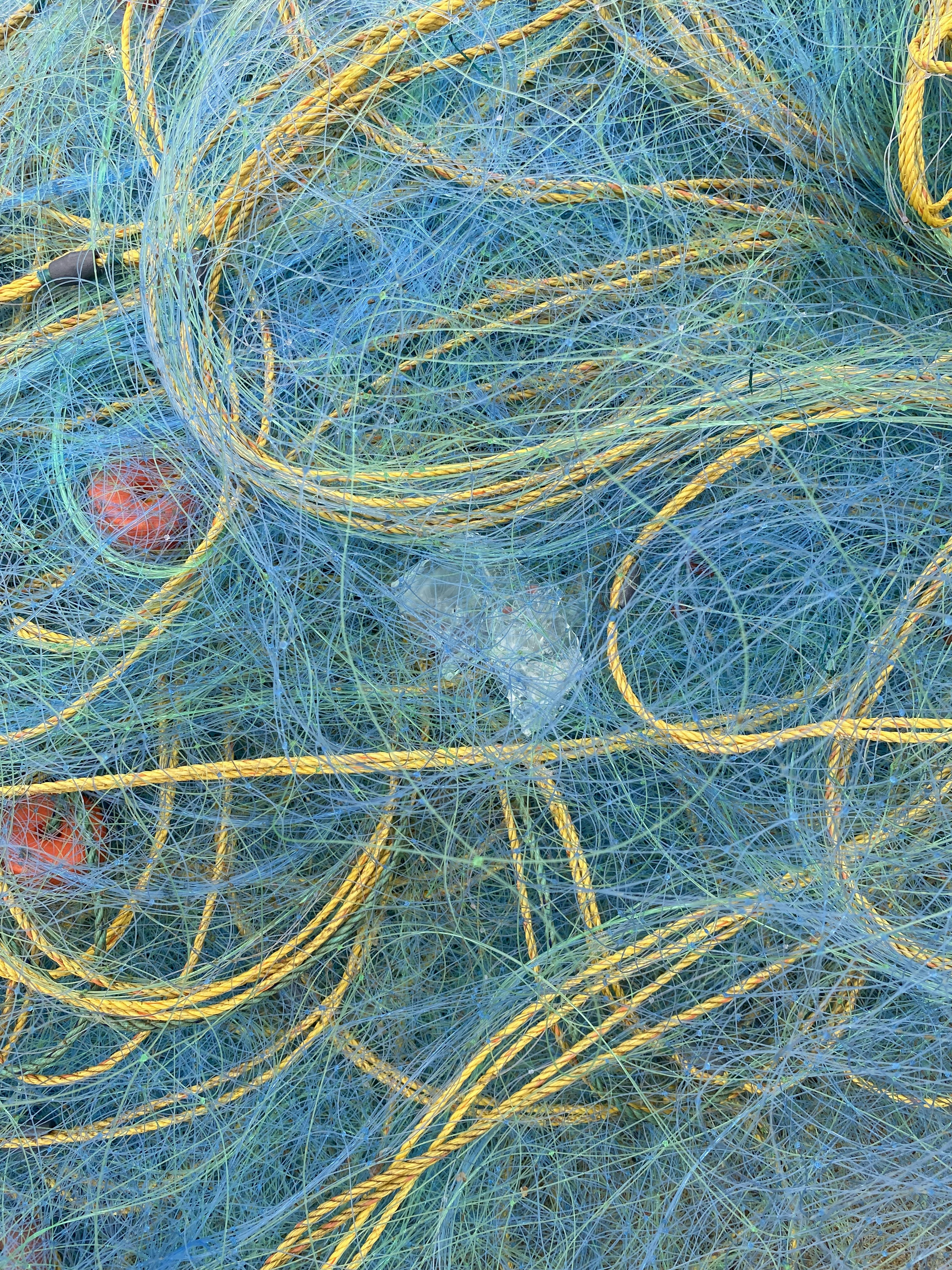 Pushparaj S (@pushparaj_albert) | Comunidad de fotos de Unsplash