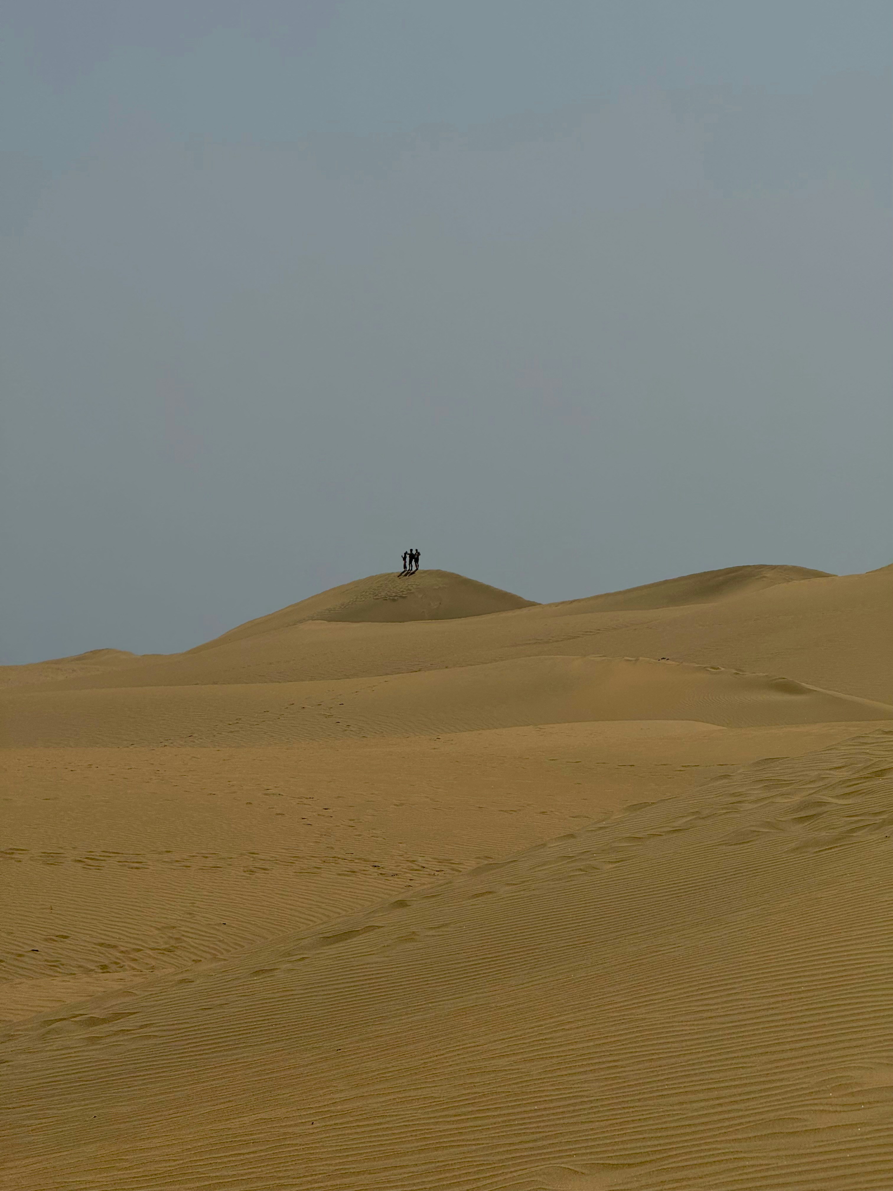 Two silhouettes on a windswept dune under a pale desert sky
