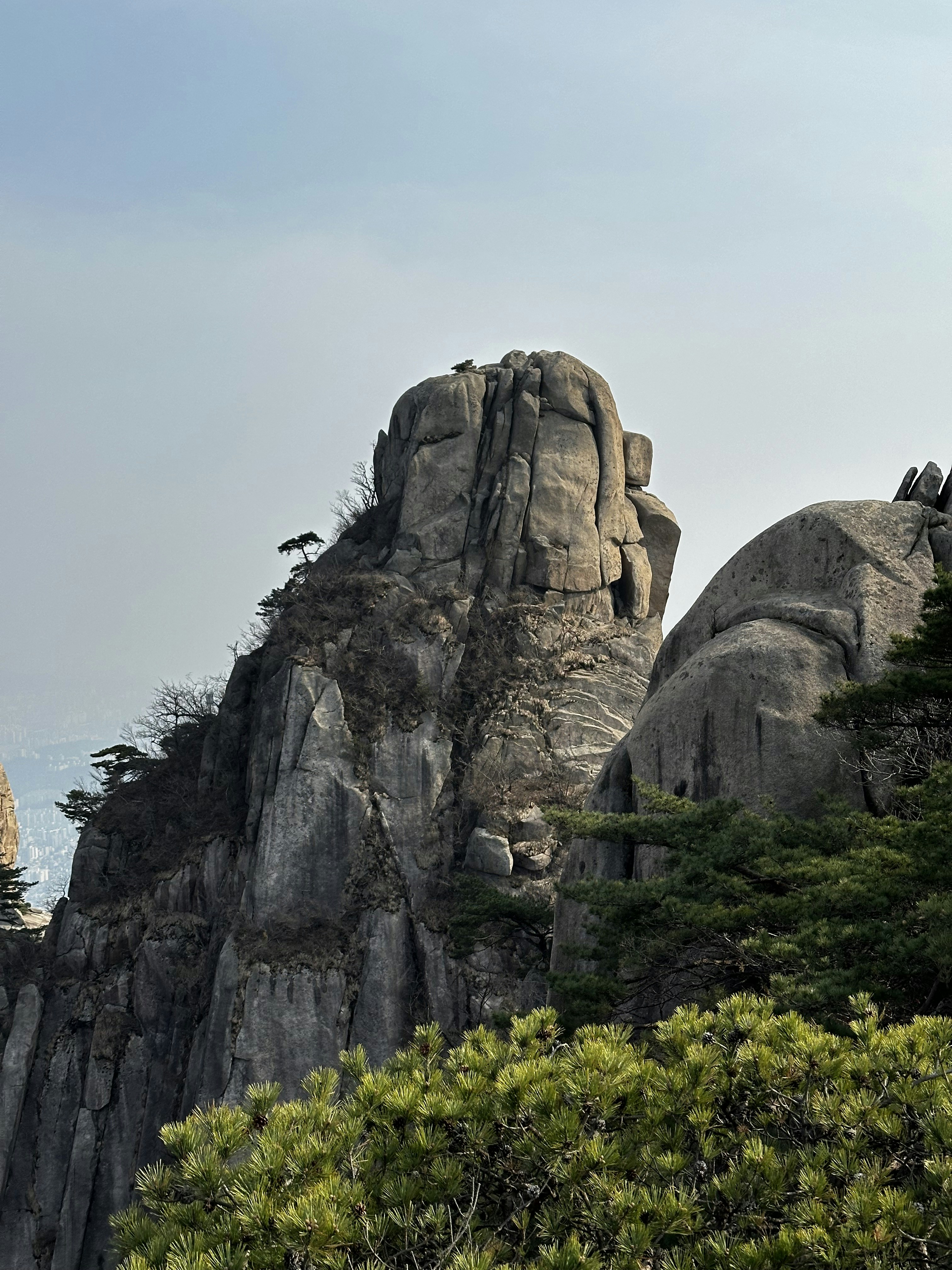 Granite Sentinel Over a Pine-Crowned Ridge