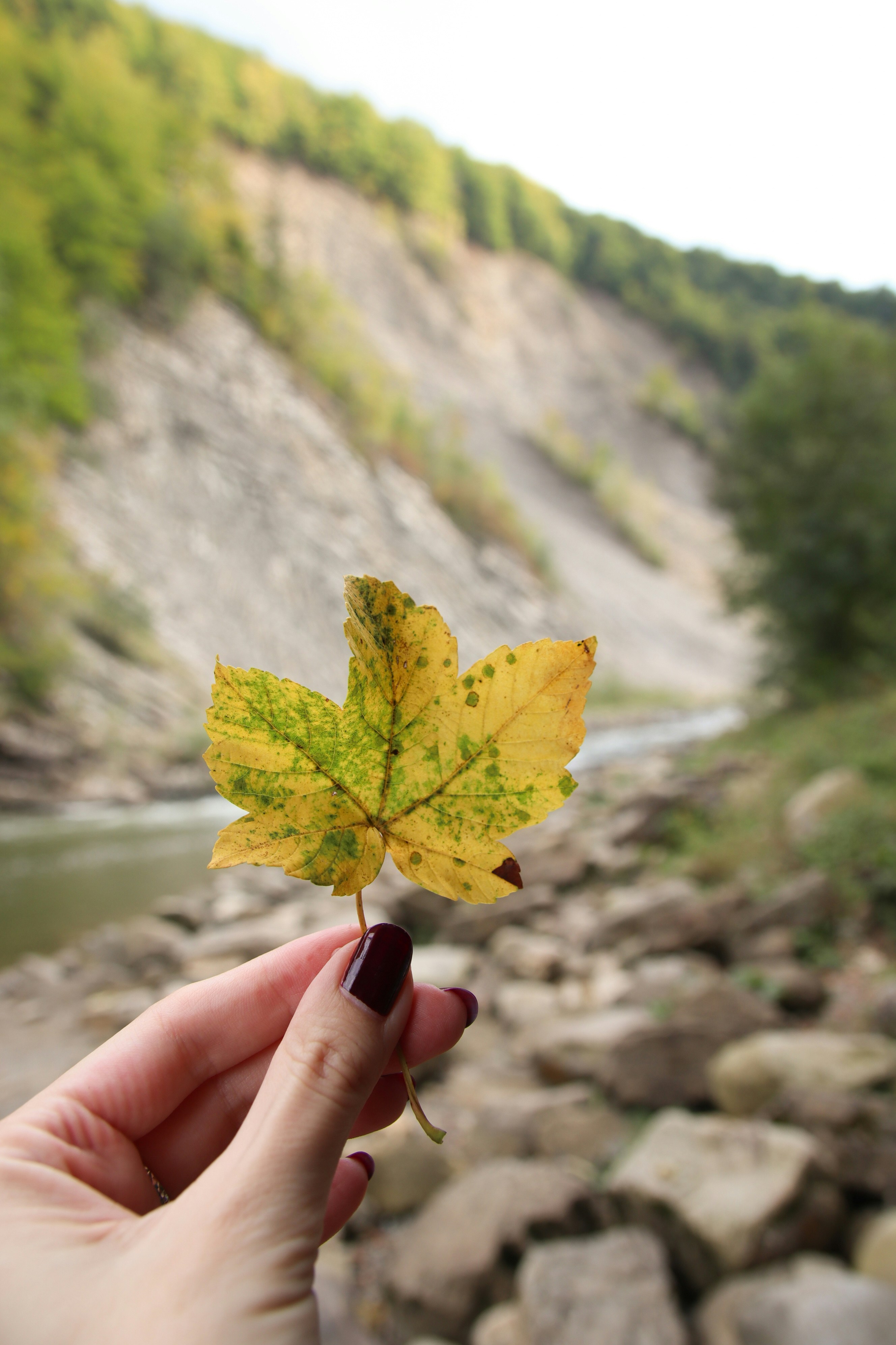 Autumn Maple Leaf Held Against a Tranquil Riverbank