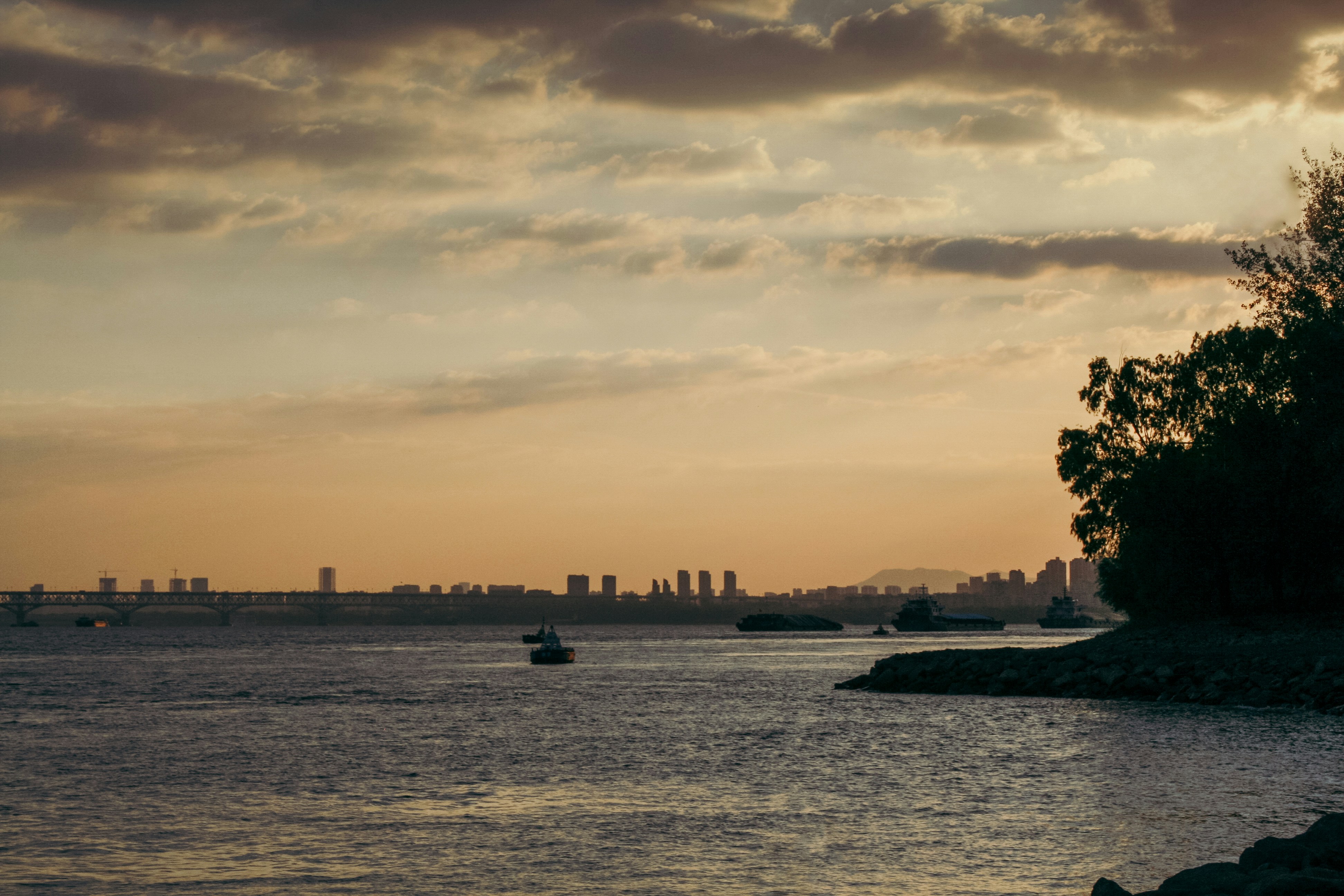 Sayed Masuk Ahmed (@sayed_masuk) | Unsplashフォトコミュニティ