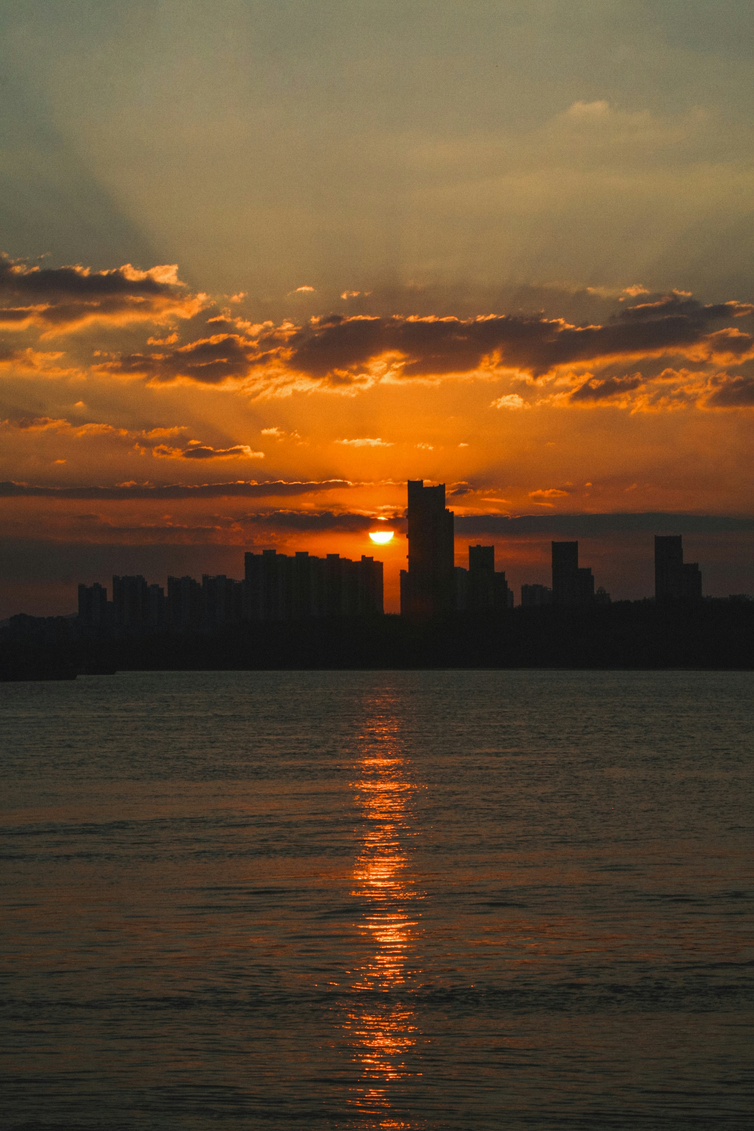 Sayed Masuk Ahmed (@sayed_masuk) | Unsplash 사진 커뮤니티