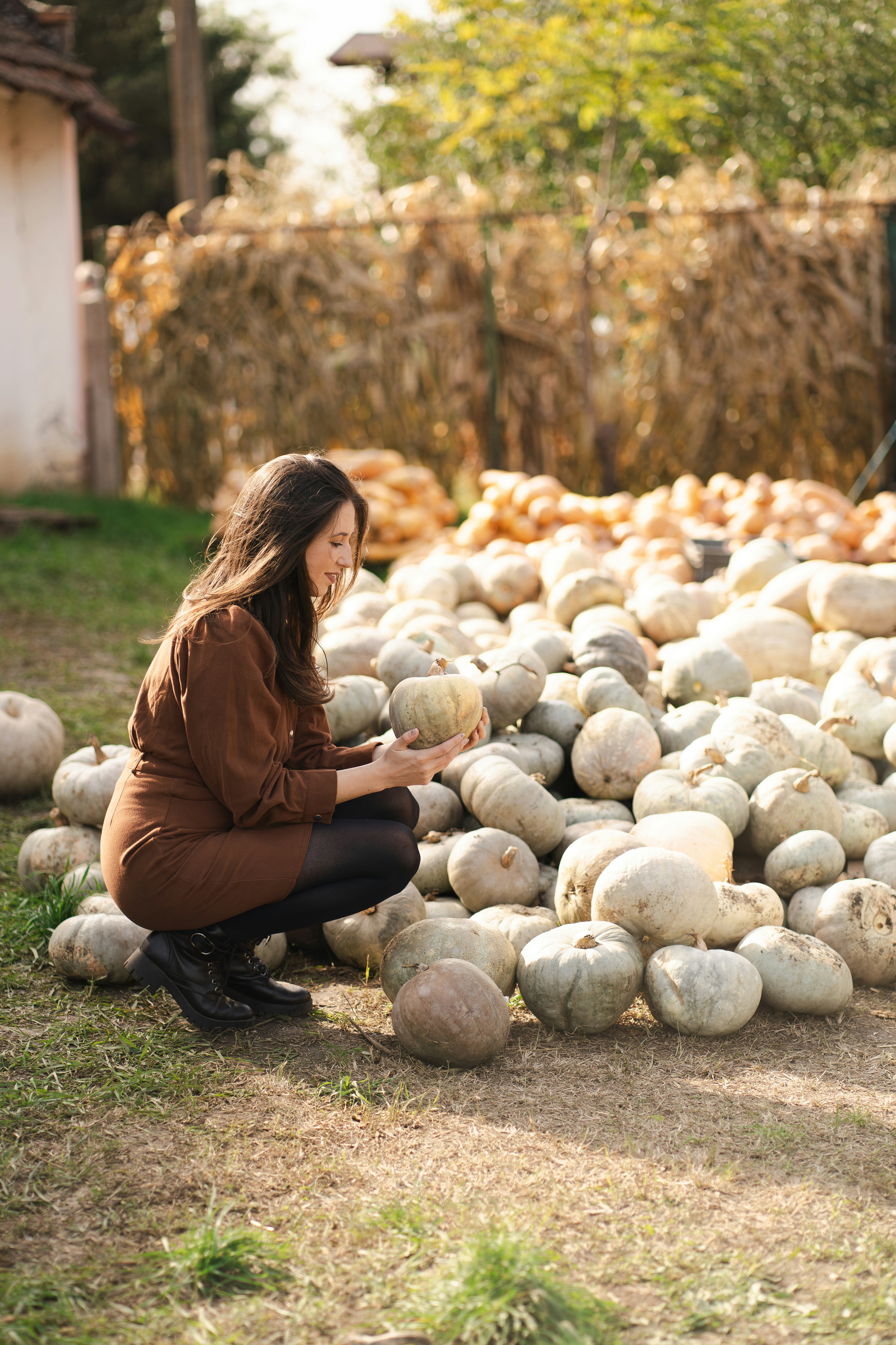 Harvested pumpkins meet a quiet moment: a woman kneels to inspect a melon in a sunlit pumpkin yard