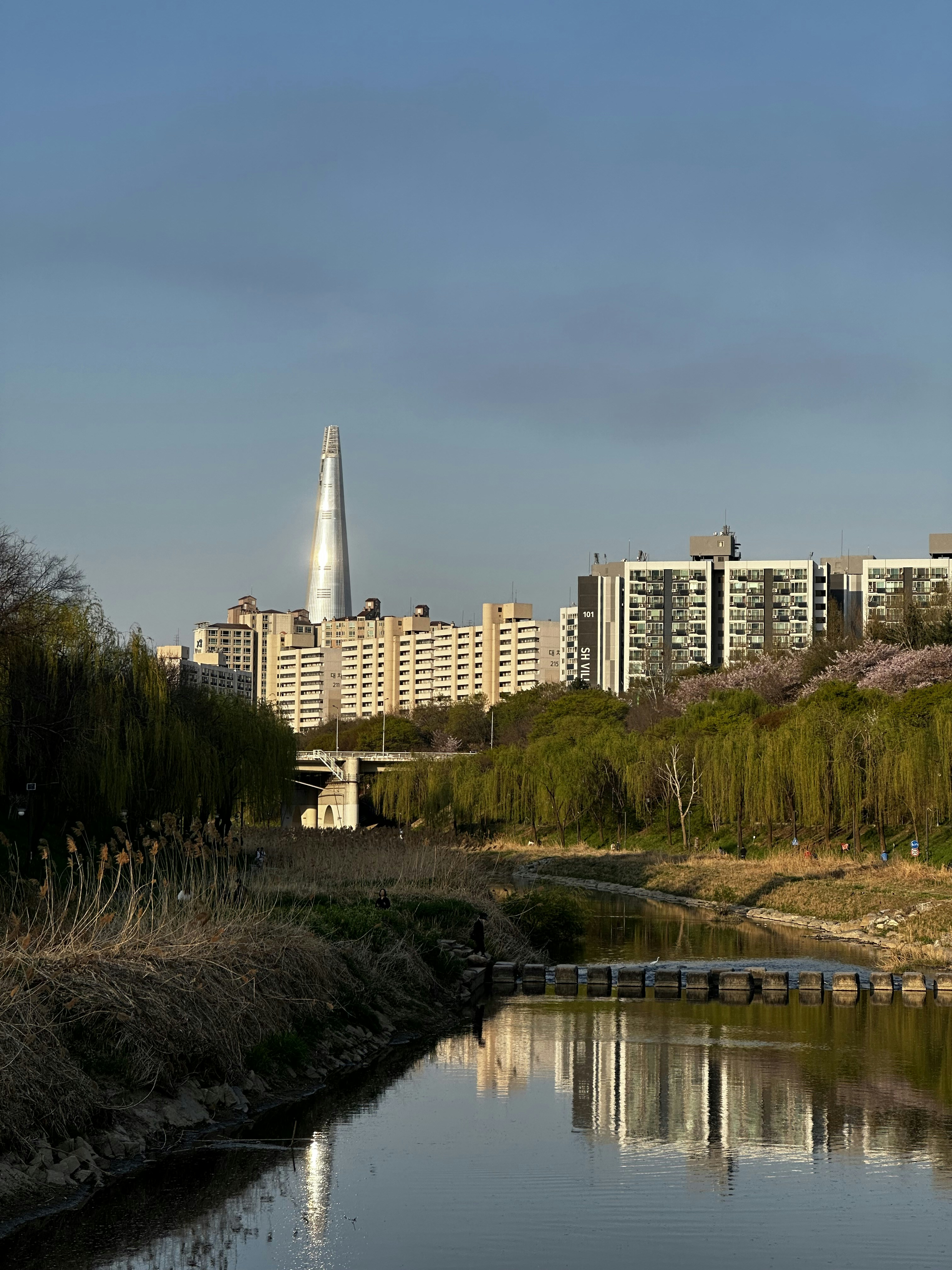 Glass Spire Rising Over the Riverside Cityscape