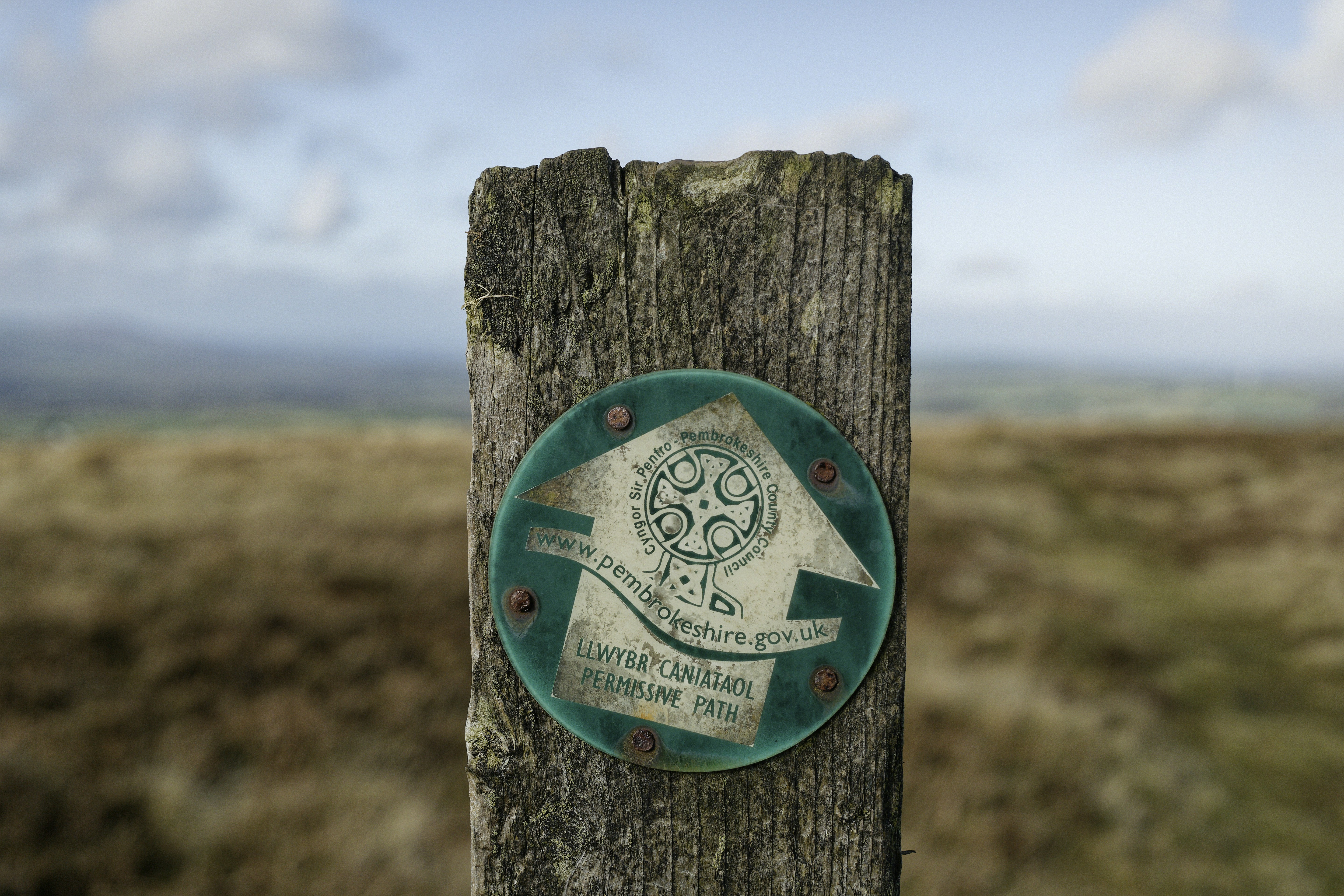 Trail Marker on Weathered Post: A Green Round Sign Surrounded by Open Moorland
