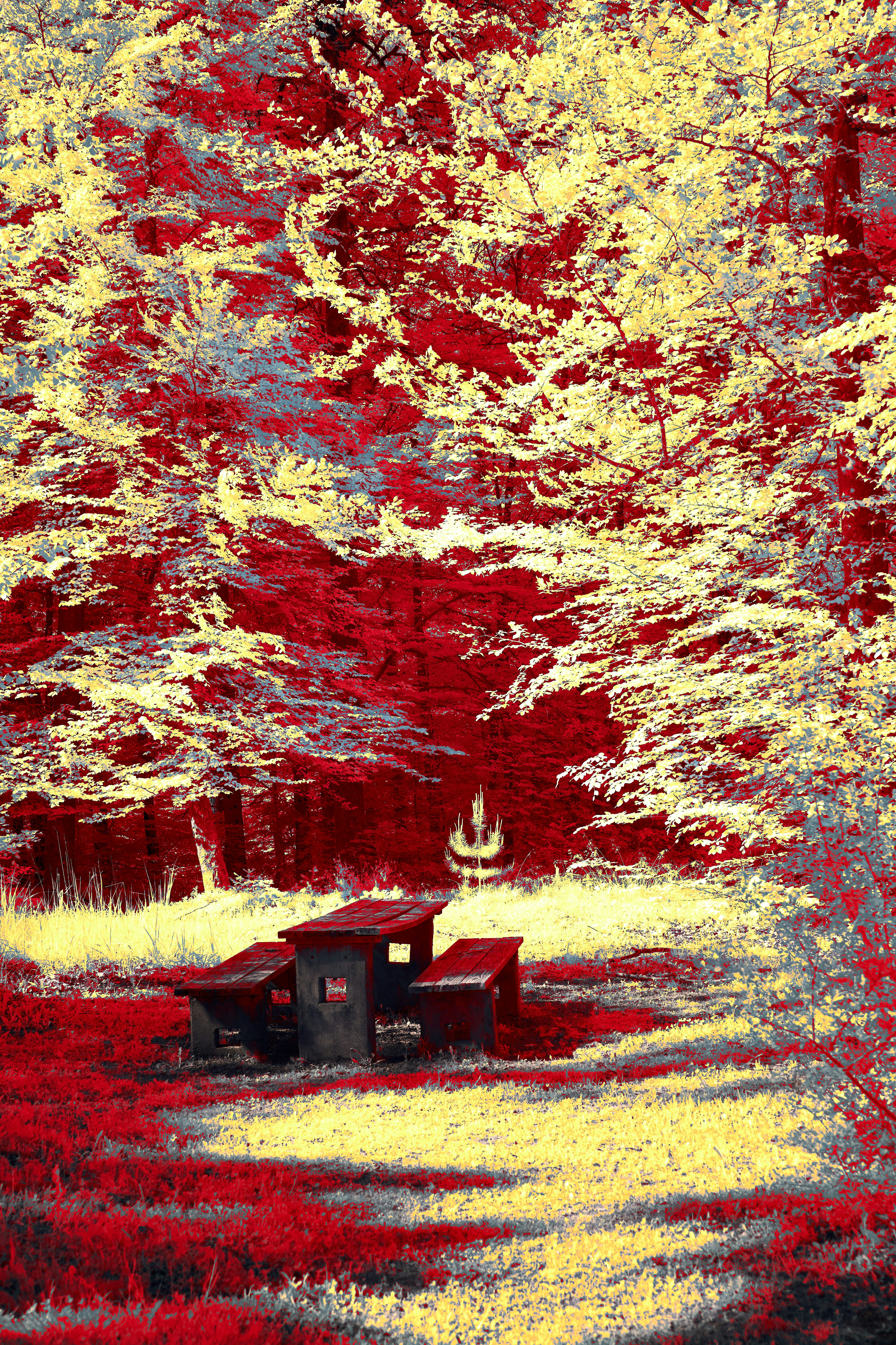 Photo by Wolfgang Hasselmann with Sony Alpha 7 IV