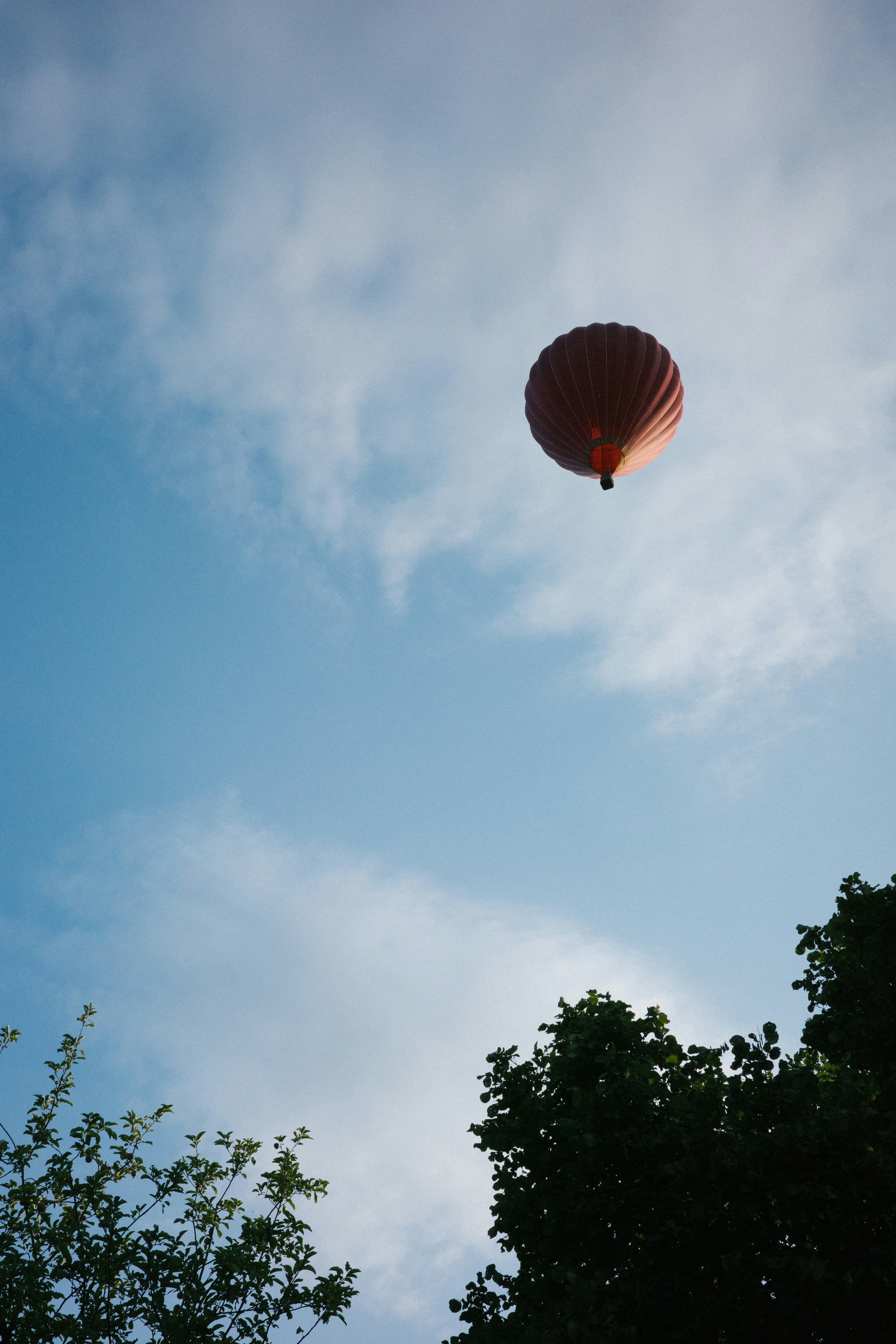 Lone Crimson Balloon Drifts Over a Quiet Canopy in a Cerulean Sky