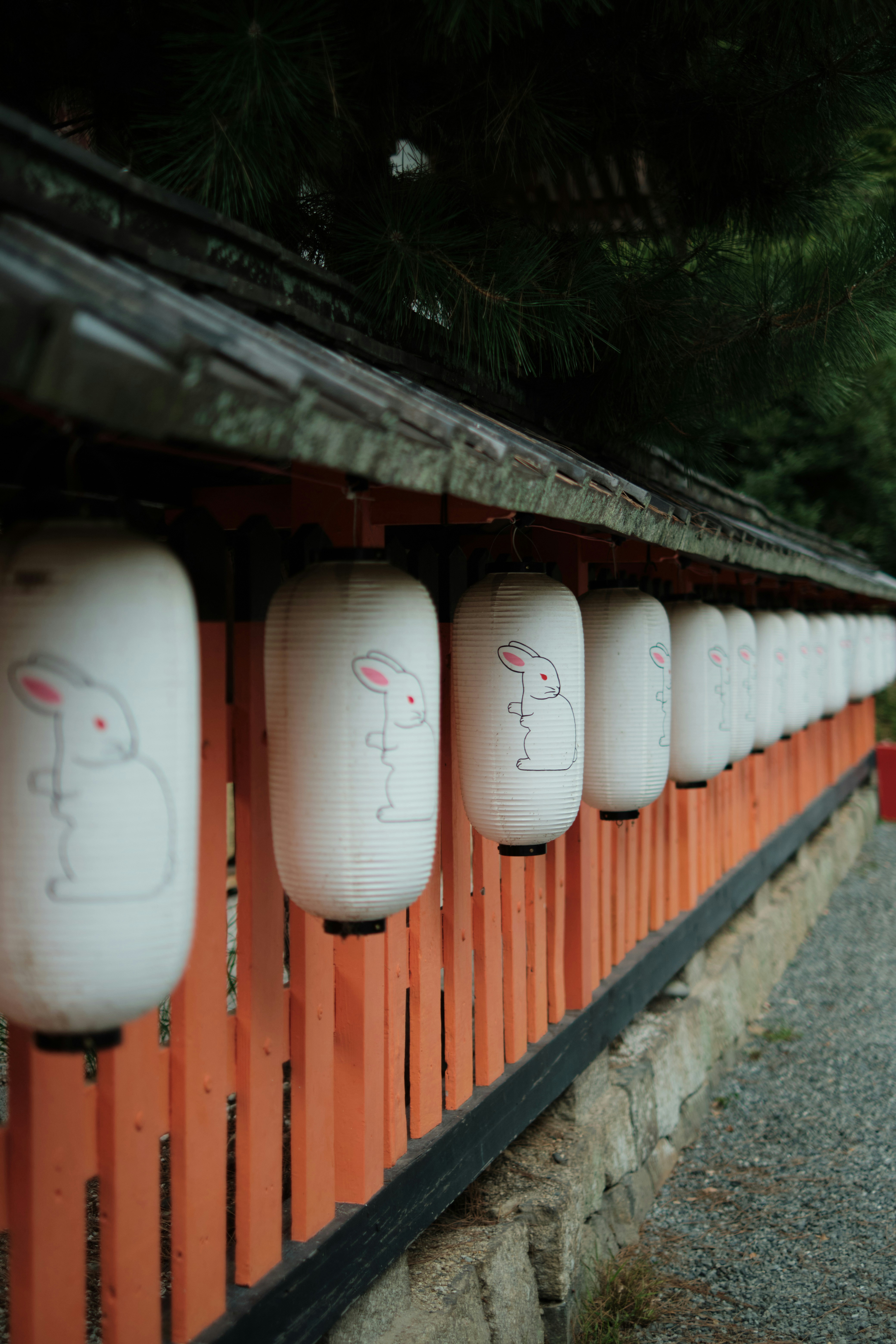 Rabbit-Print Lantern Row Along a Quiet Red Fence