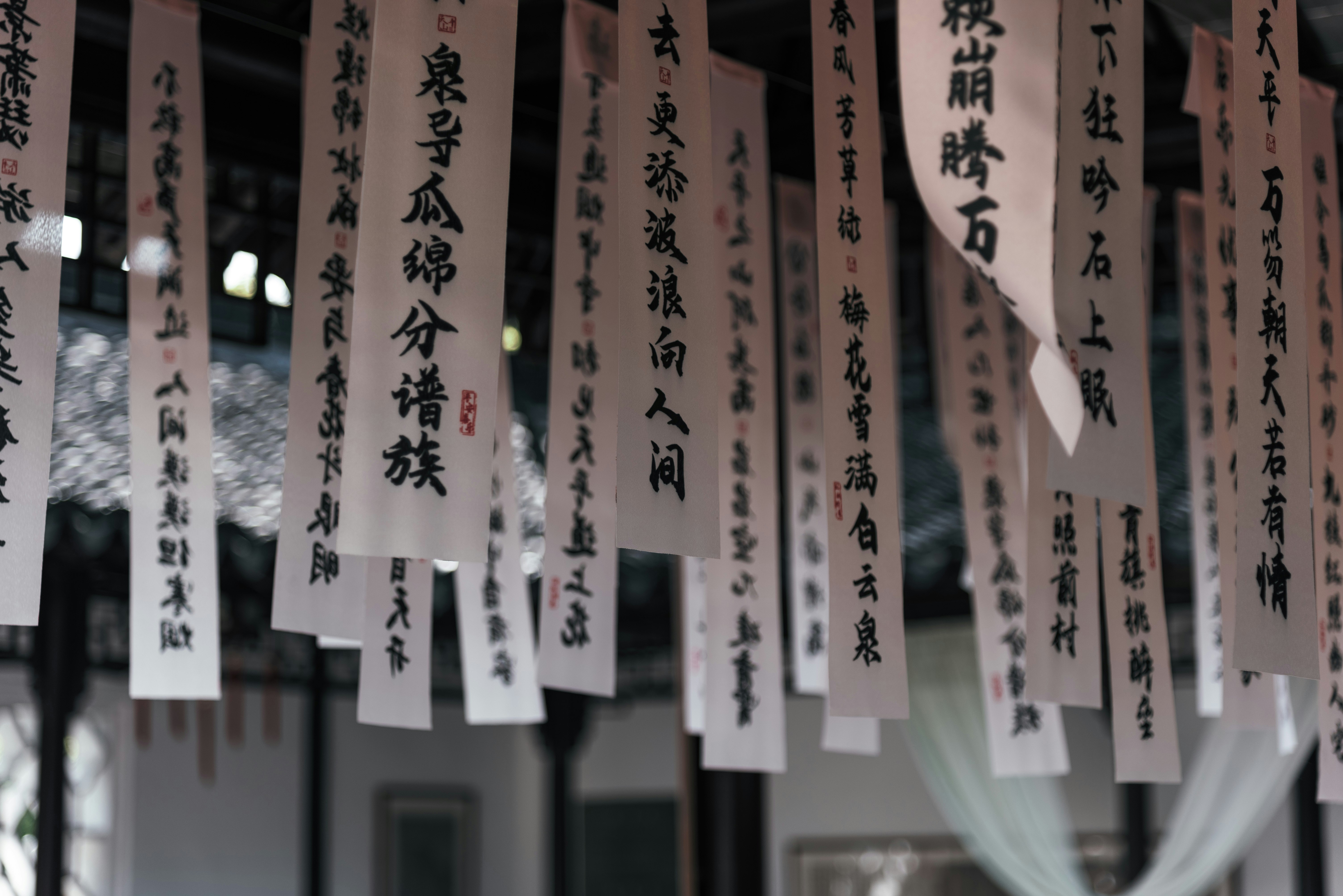A bunch of signs hanging from a ceiling photo – Free Suzhou Image on ...