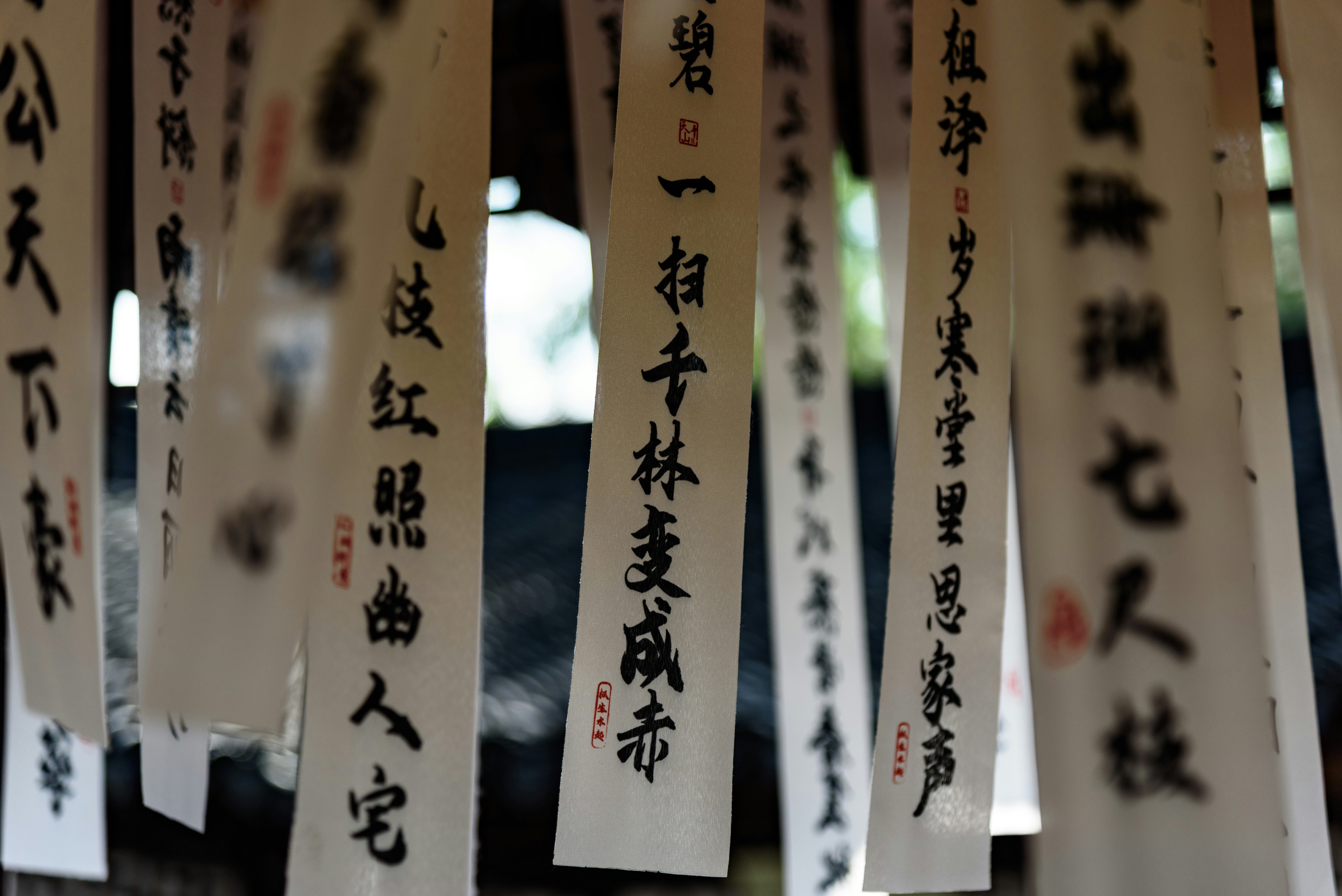 A bunch of asian writing hanging from a ceiling photo – Free Suzhou ...