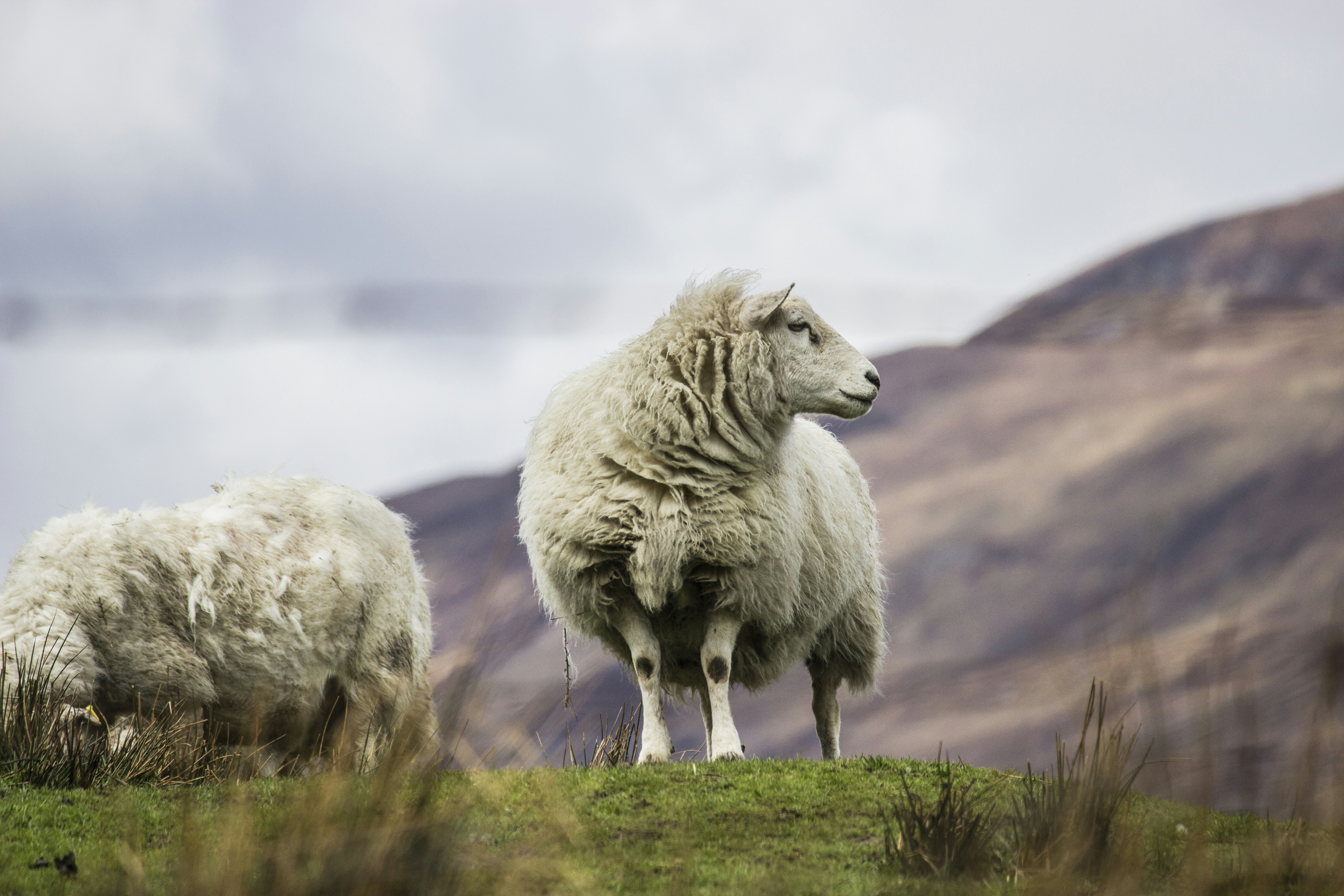 Photo by Eduardo Salvatierra with Canon EOS 600D