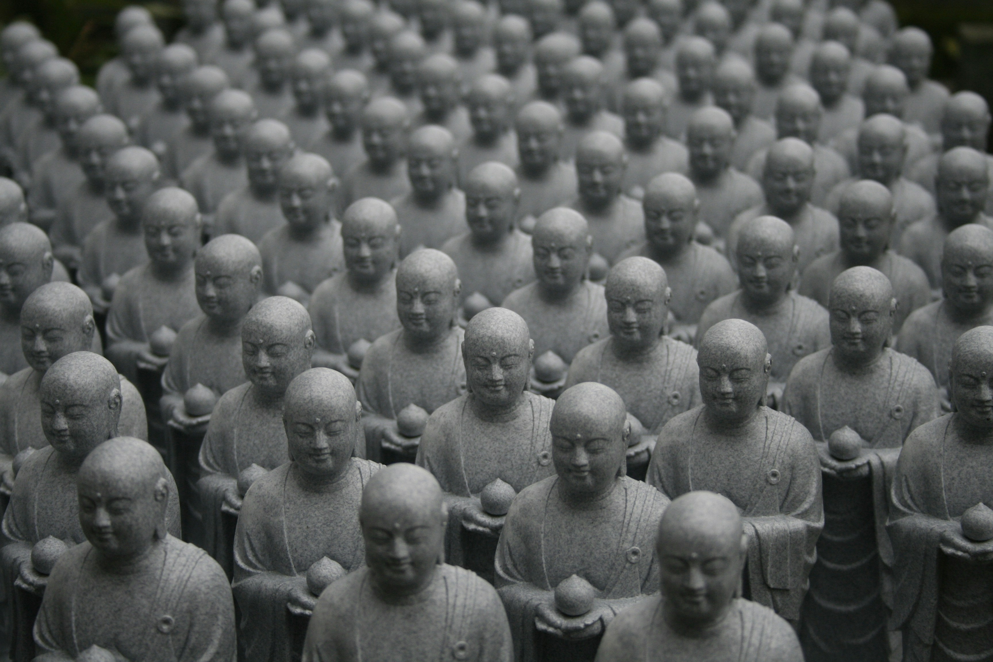 Row by Row: A Monochrome Field of Quiet Buddhist Statues