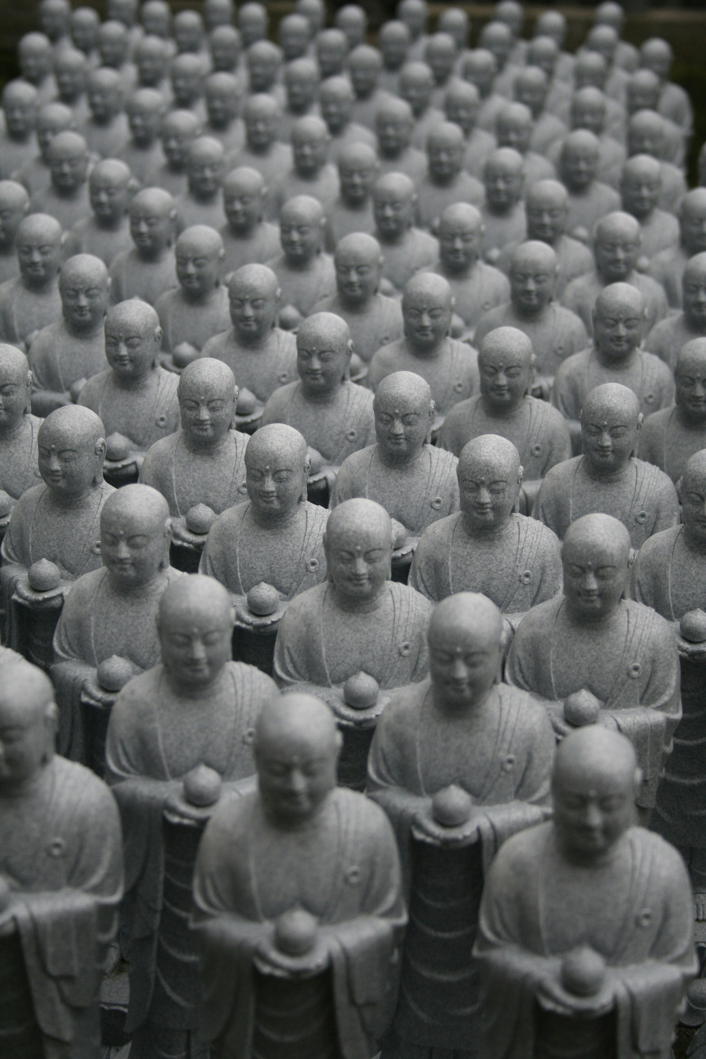 Monastic Echoes: A Monochrome Field of Standing Buddhas