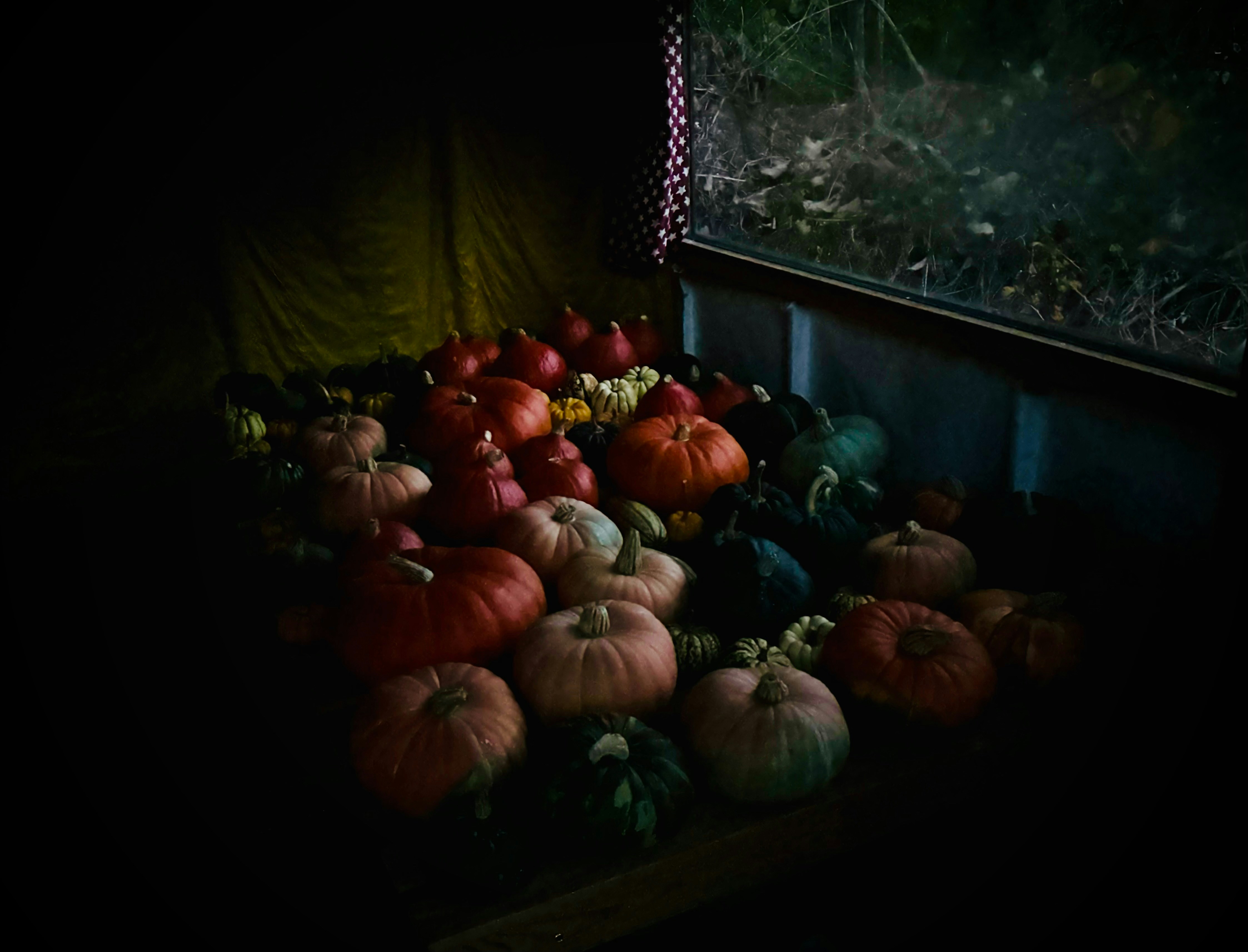 Dim Spotlight on Autumn Harvest: Pumpkins Gathered in a Quiet Corner