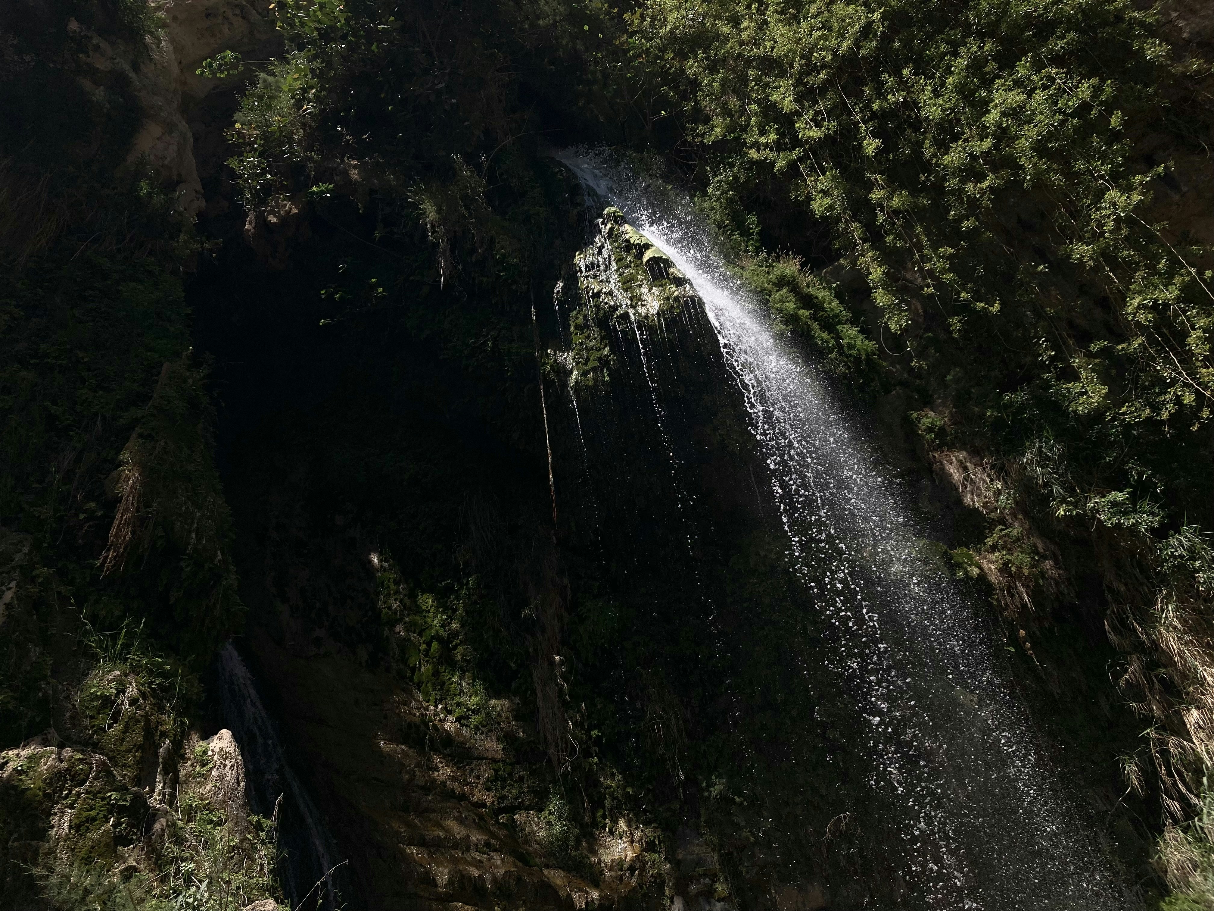 Sample photo from Apple iPhone SE