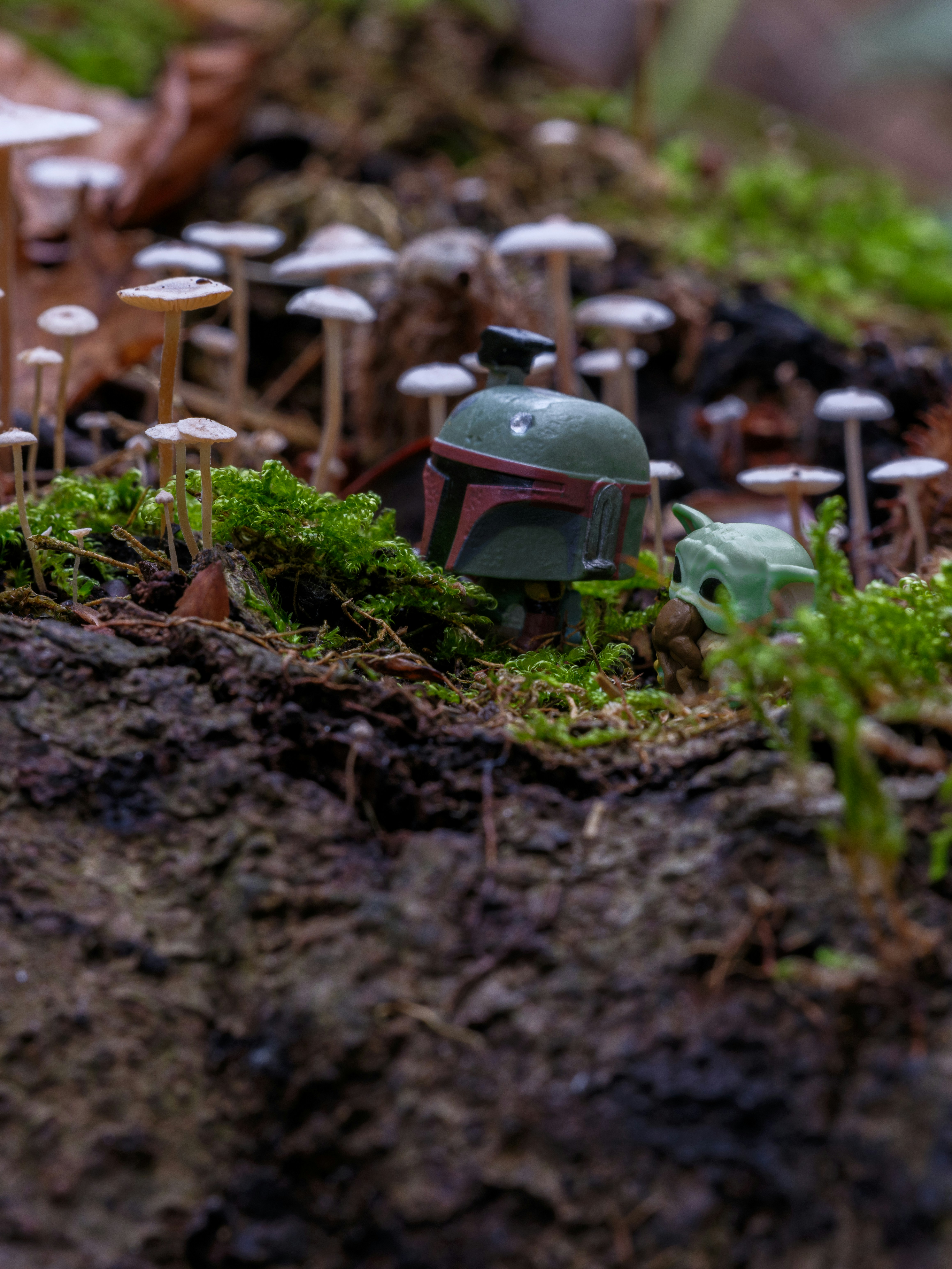Tiny Mandalorian Scout in a Mossy Forest Lab