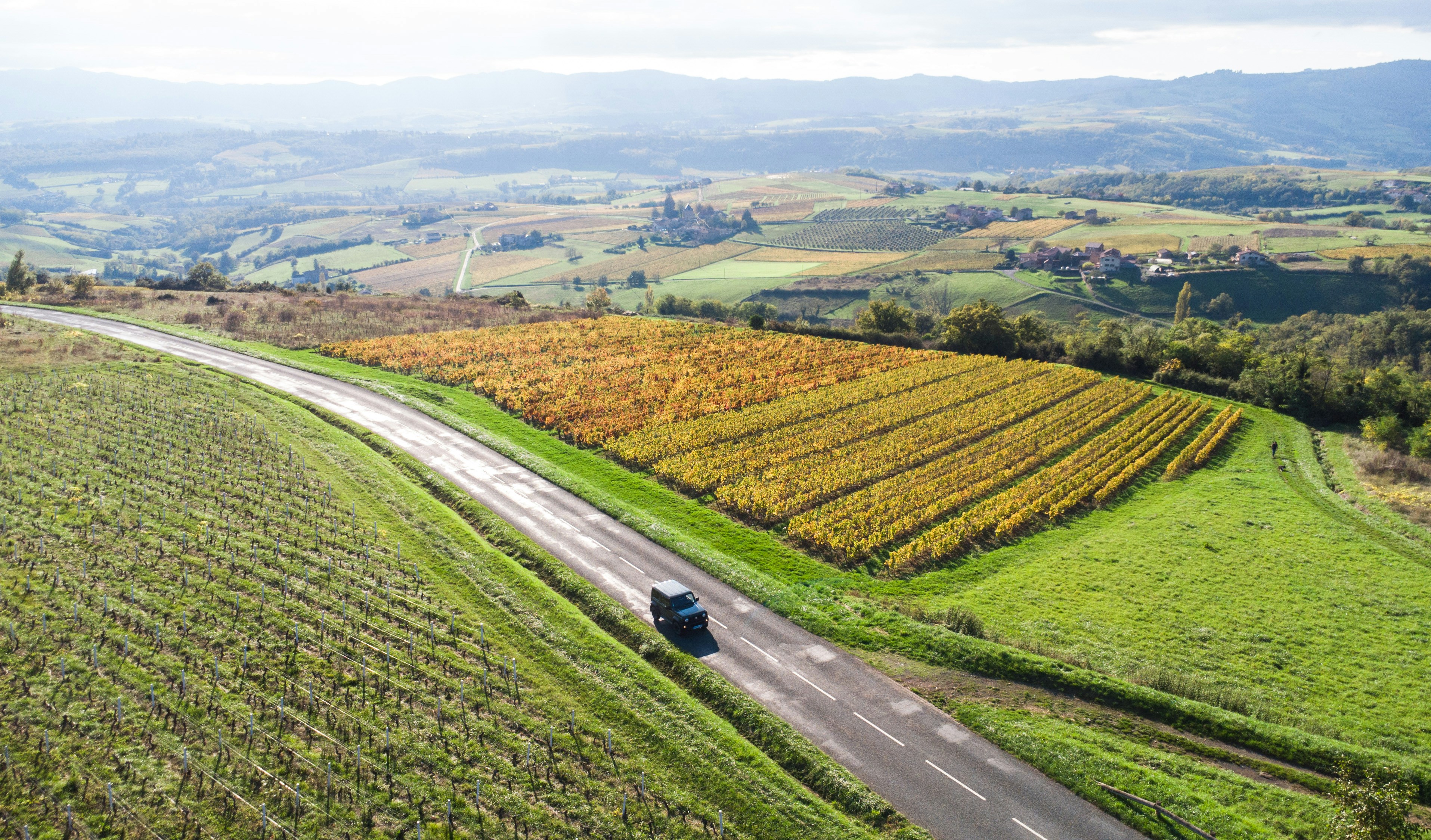Aerial landscape photograph of a countryside valley with golden vineyard rows and a winding road, featuring a small car.