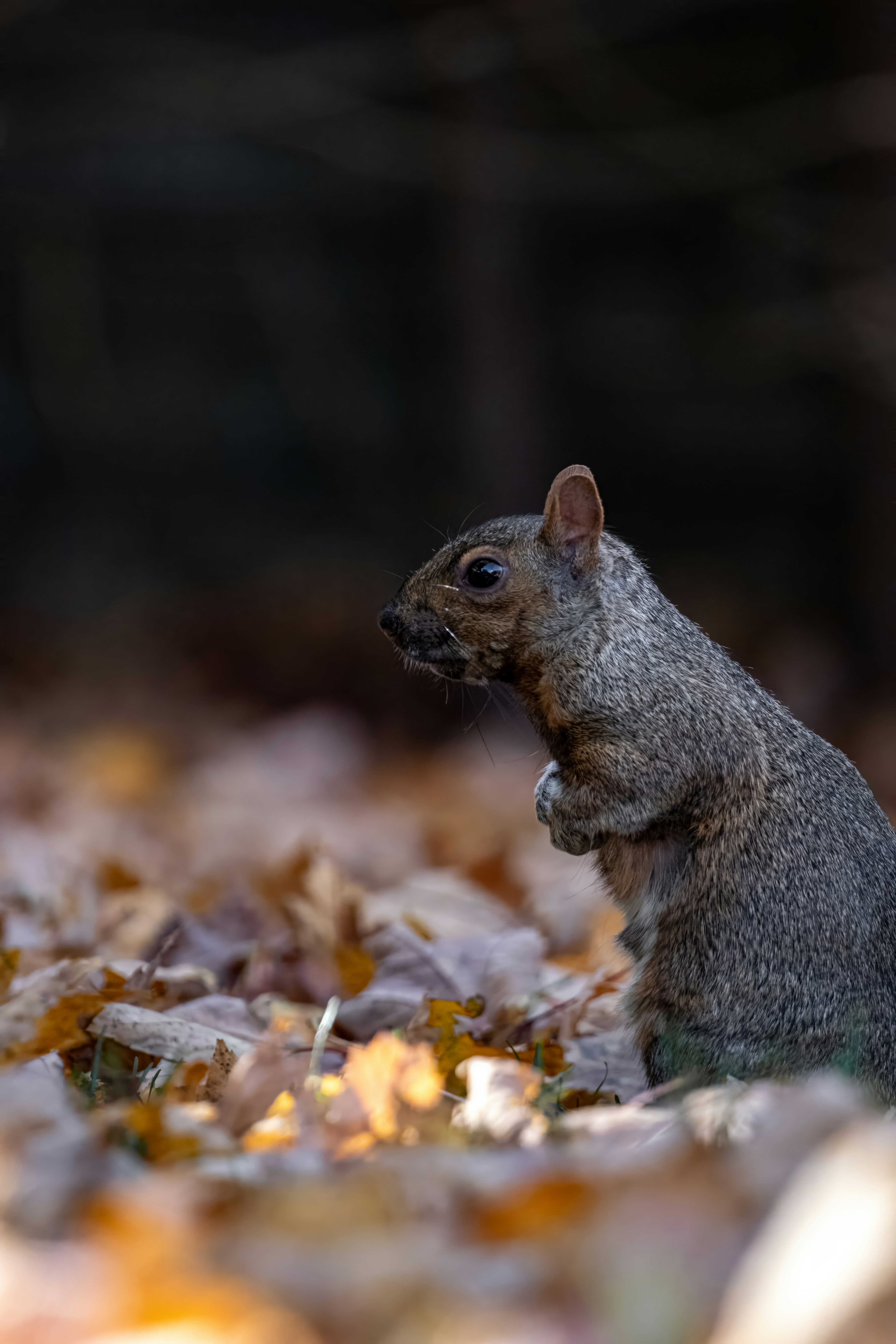Photo by Alexandre Daoust with Fujifilm X-T5