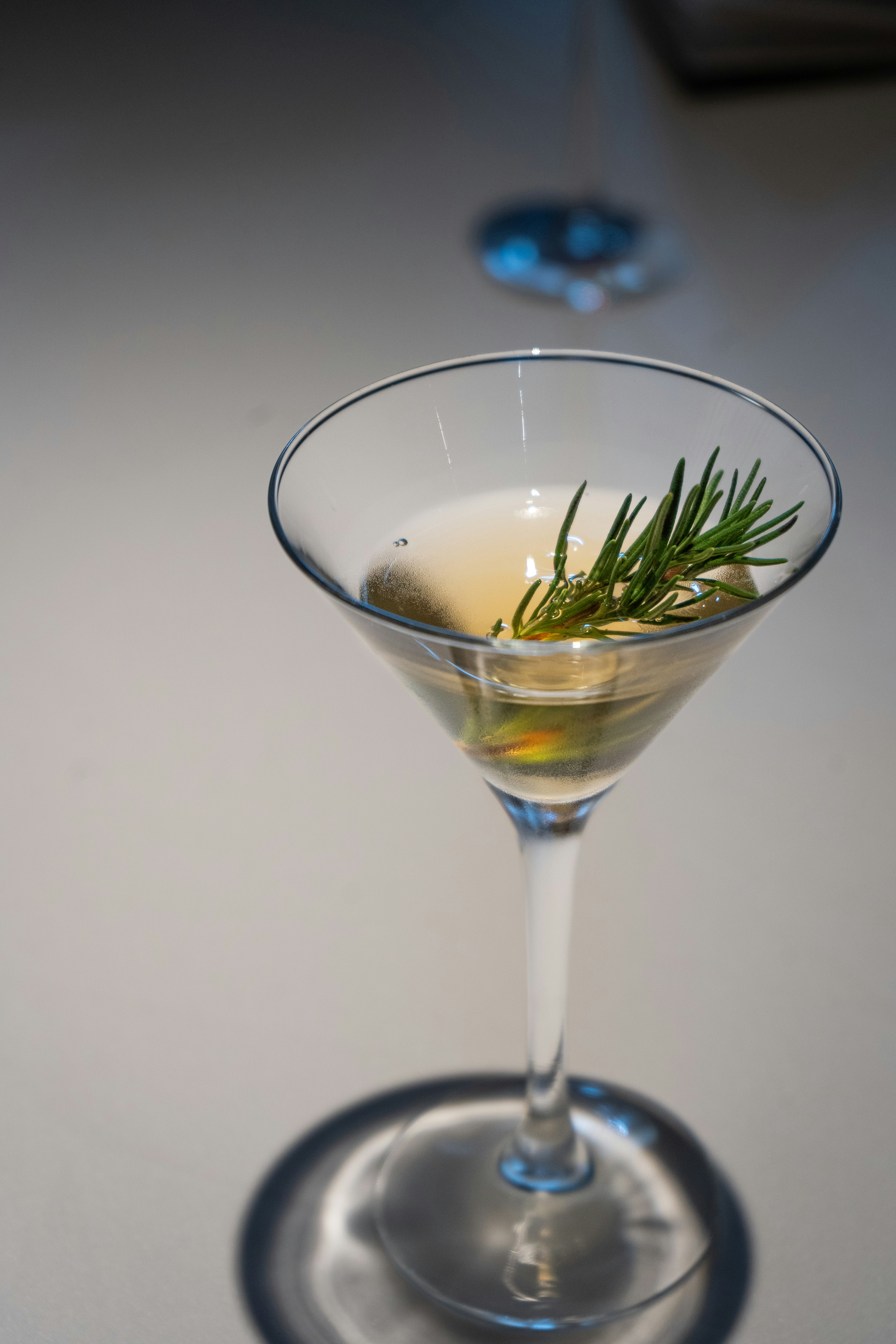 Rosemary Sprig in a Crystal Martini