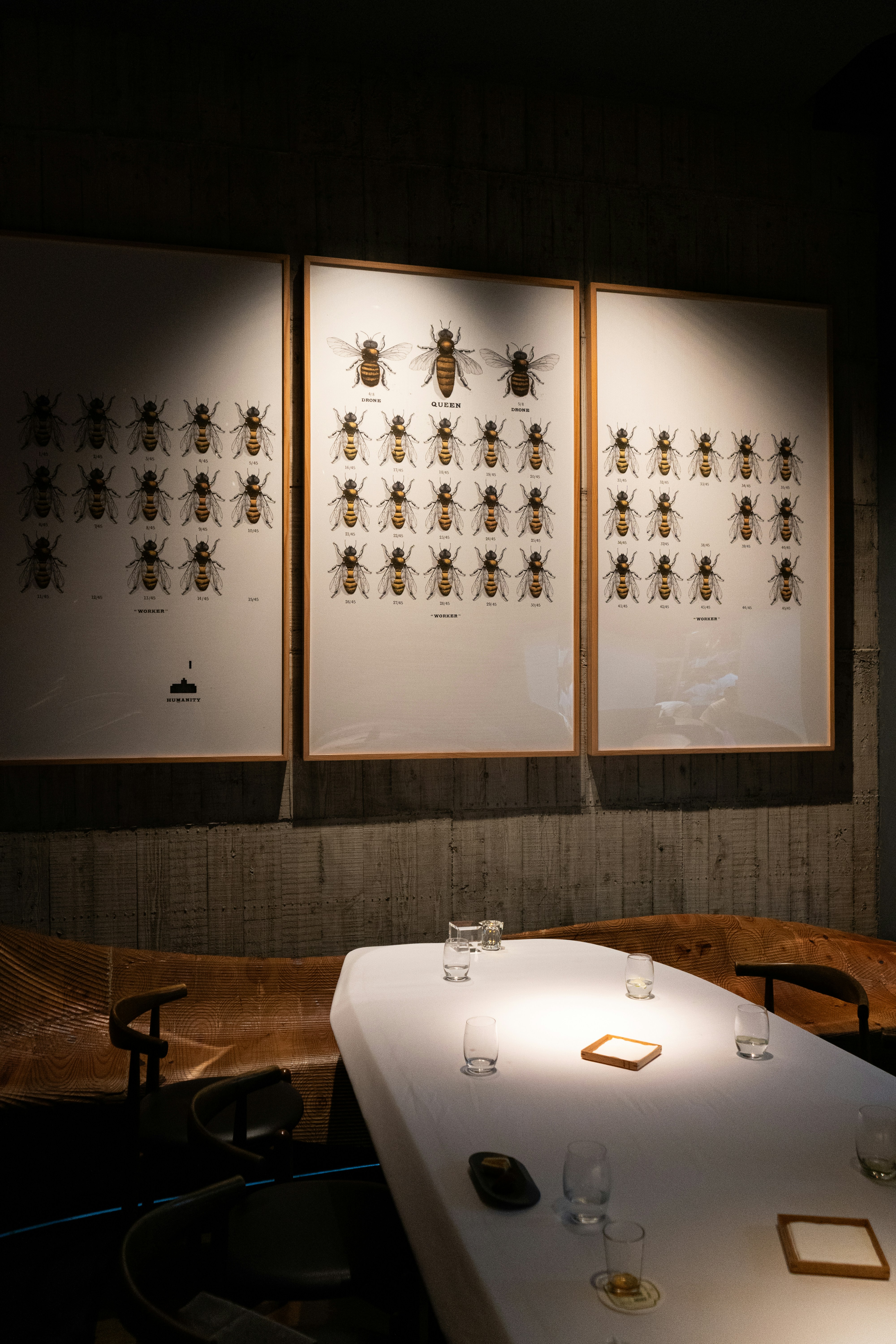 Bee Charts by Soft Light: A Quiet Dinner Scene