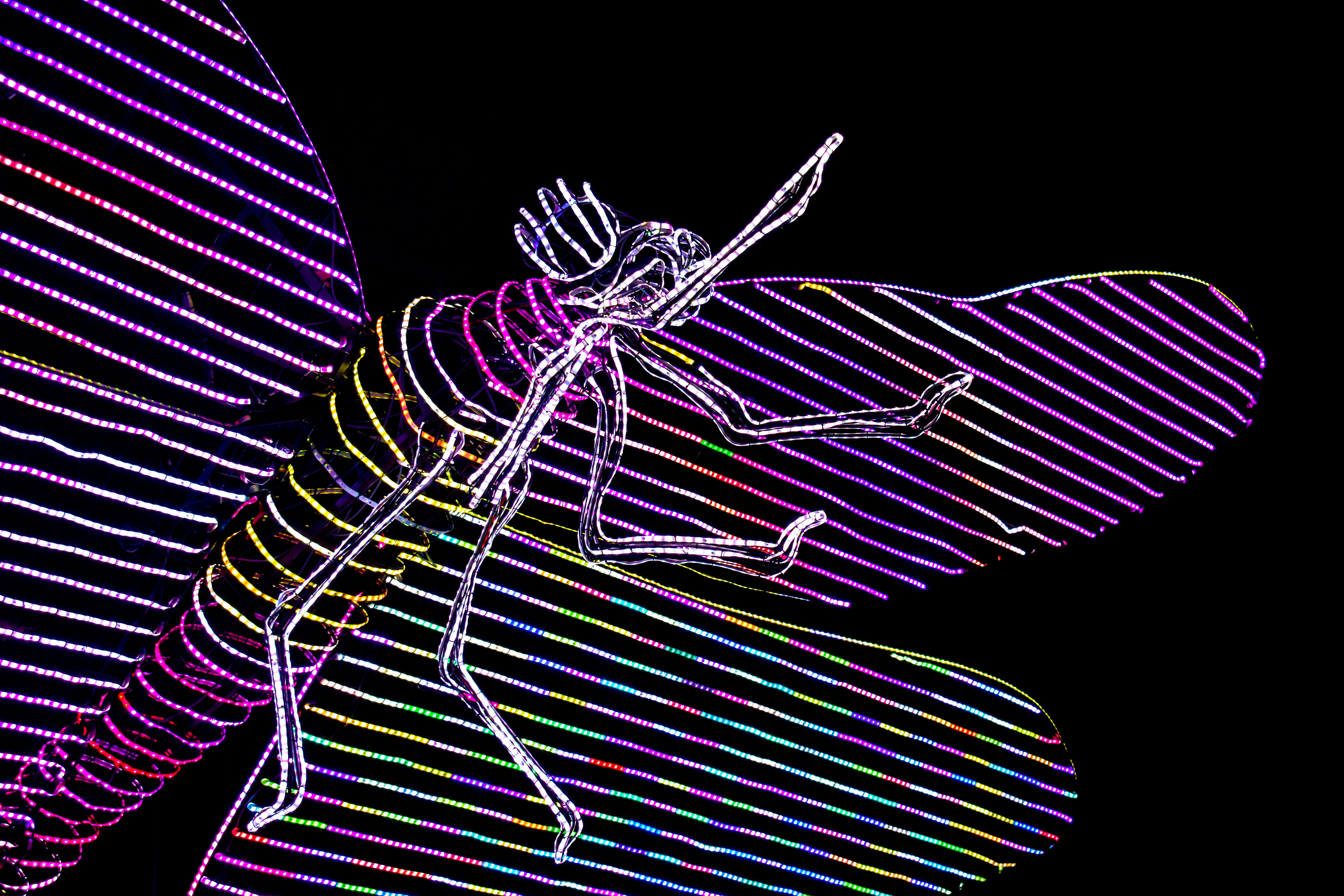 Prismatic Dragonfly: Neon-Line Wings Against Velvet Black