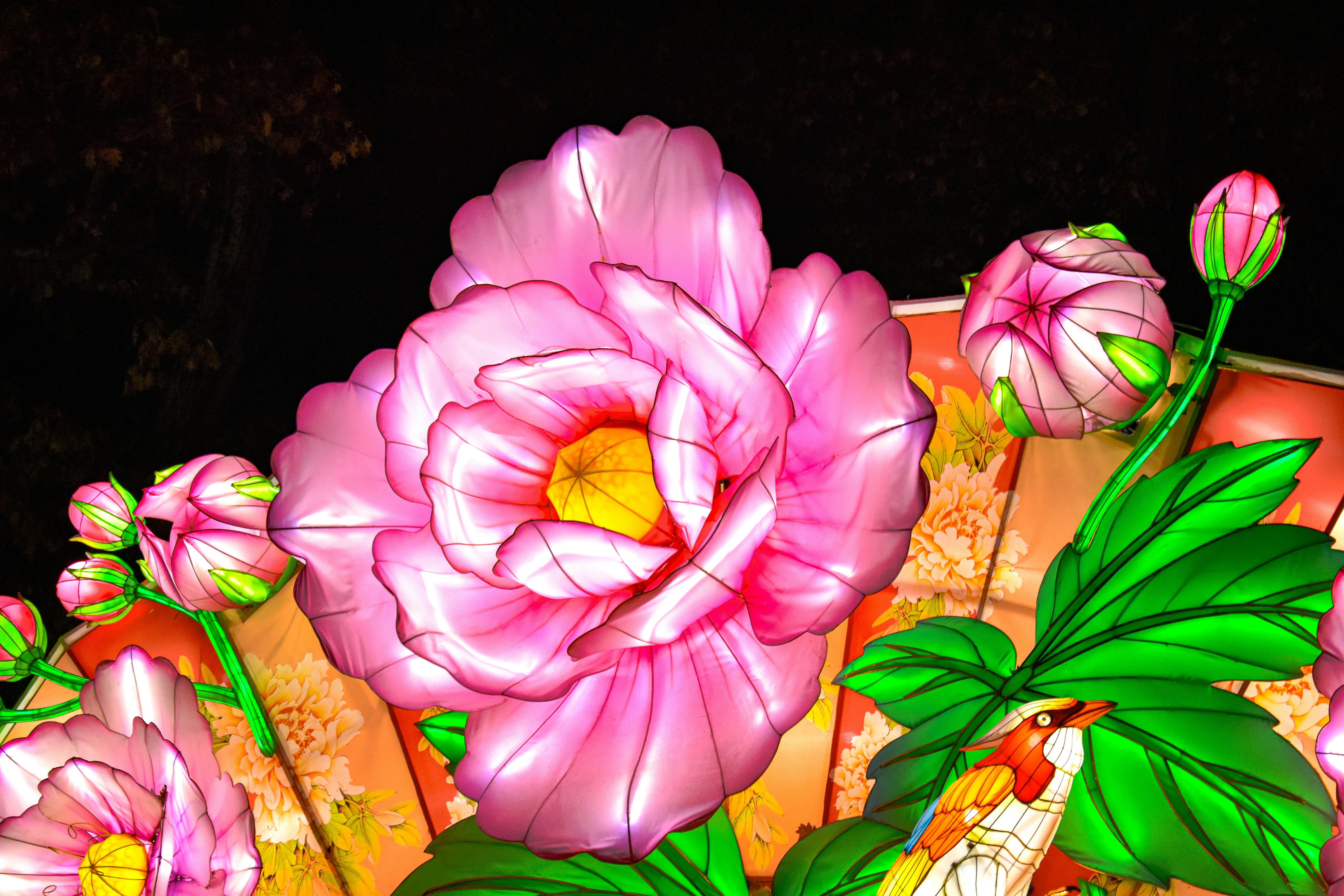 Neon Bloom Parade: Giant Pink Flower Lanterns Illuminate a Night Festival