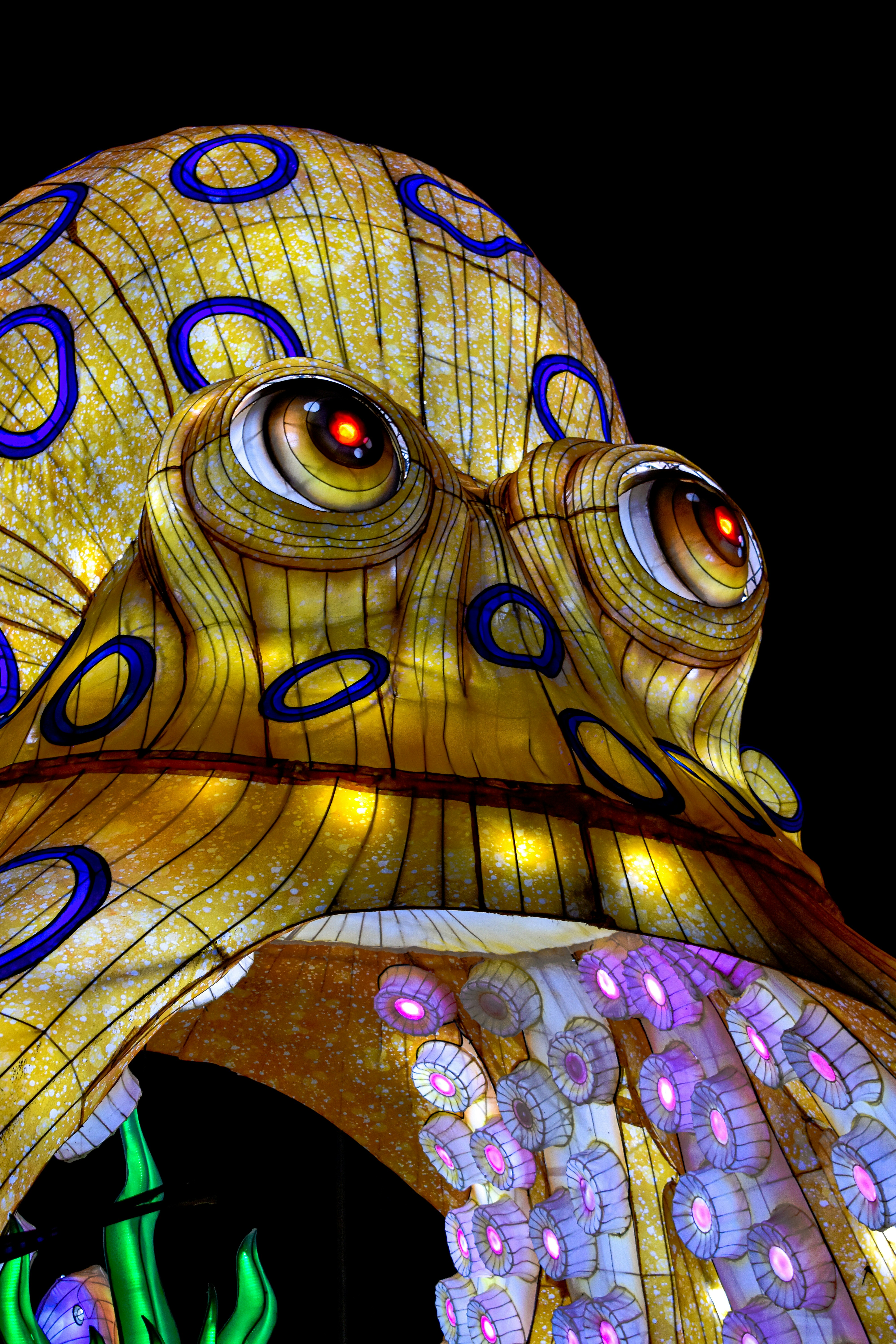 Gilded Lantern Dragon's Gaze Under Nightfall