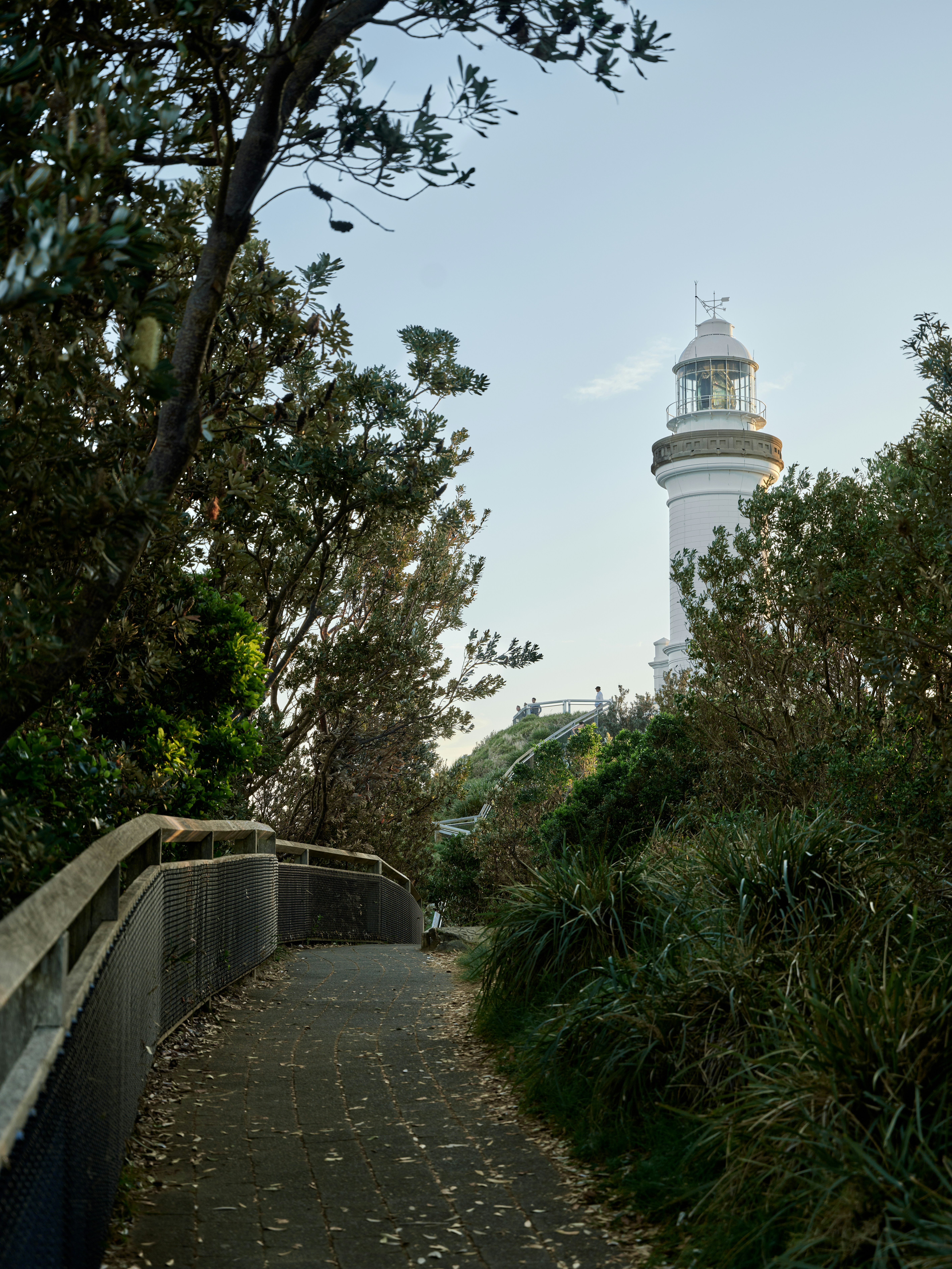 Toward the Beacon: A Quiet Coastal Path Through Green Canopy