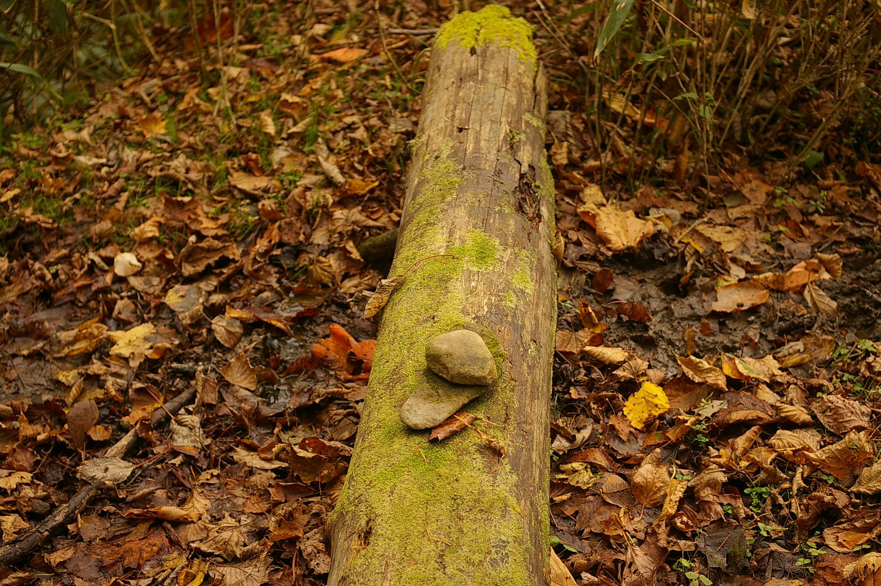 Photo by Yujin Yano with Pentax *ist DS