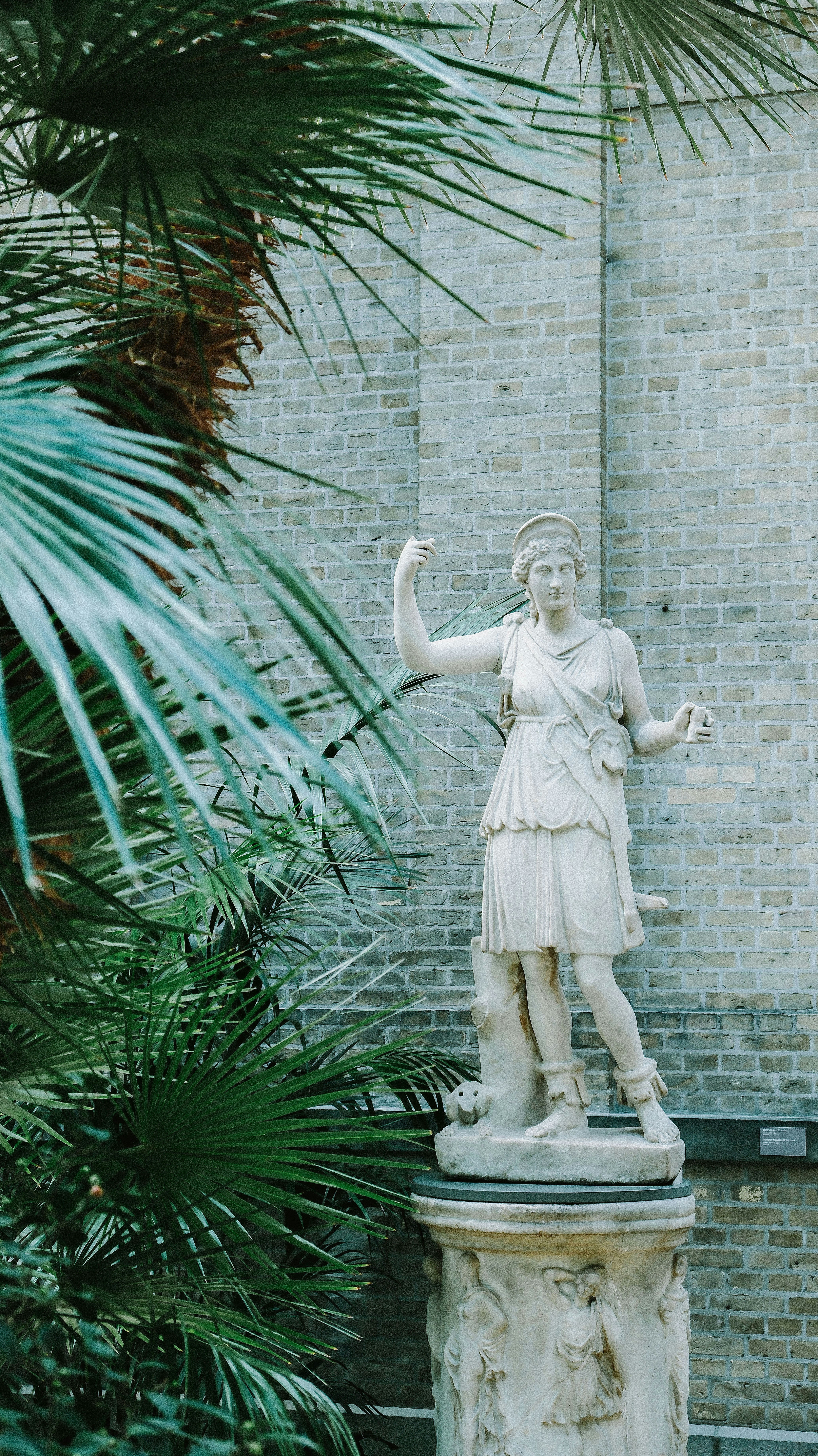 Greco-Roman Statue Nestled Between Palm Fronds in a Brick Courtyard