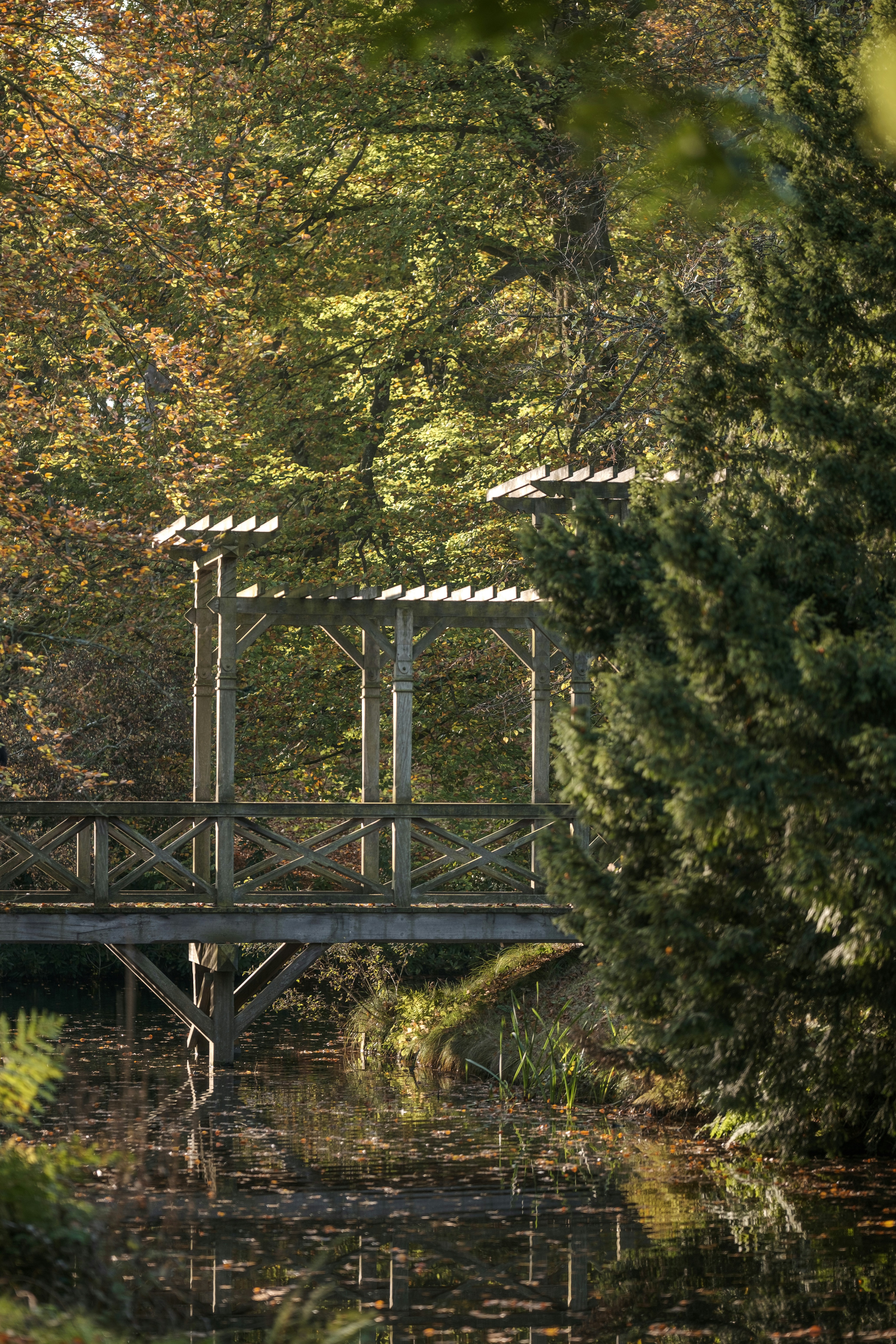 Whispers of Autumn: A Tranquil Bridge Retreat