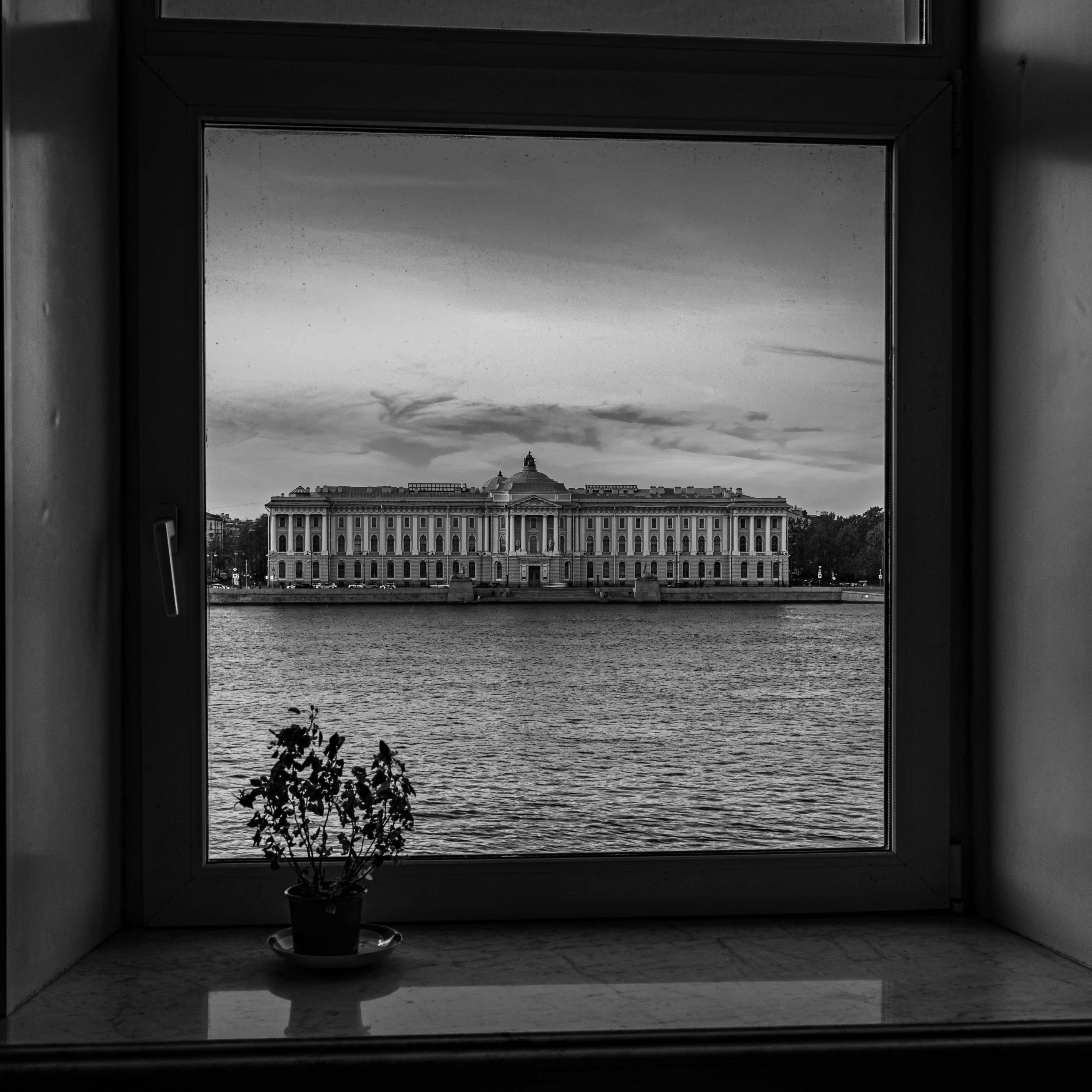 River Vista at Window Frame: A Neoclassical Palace Across the Water
