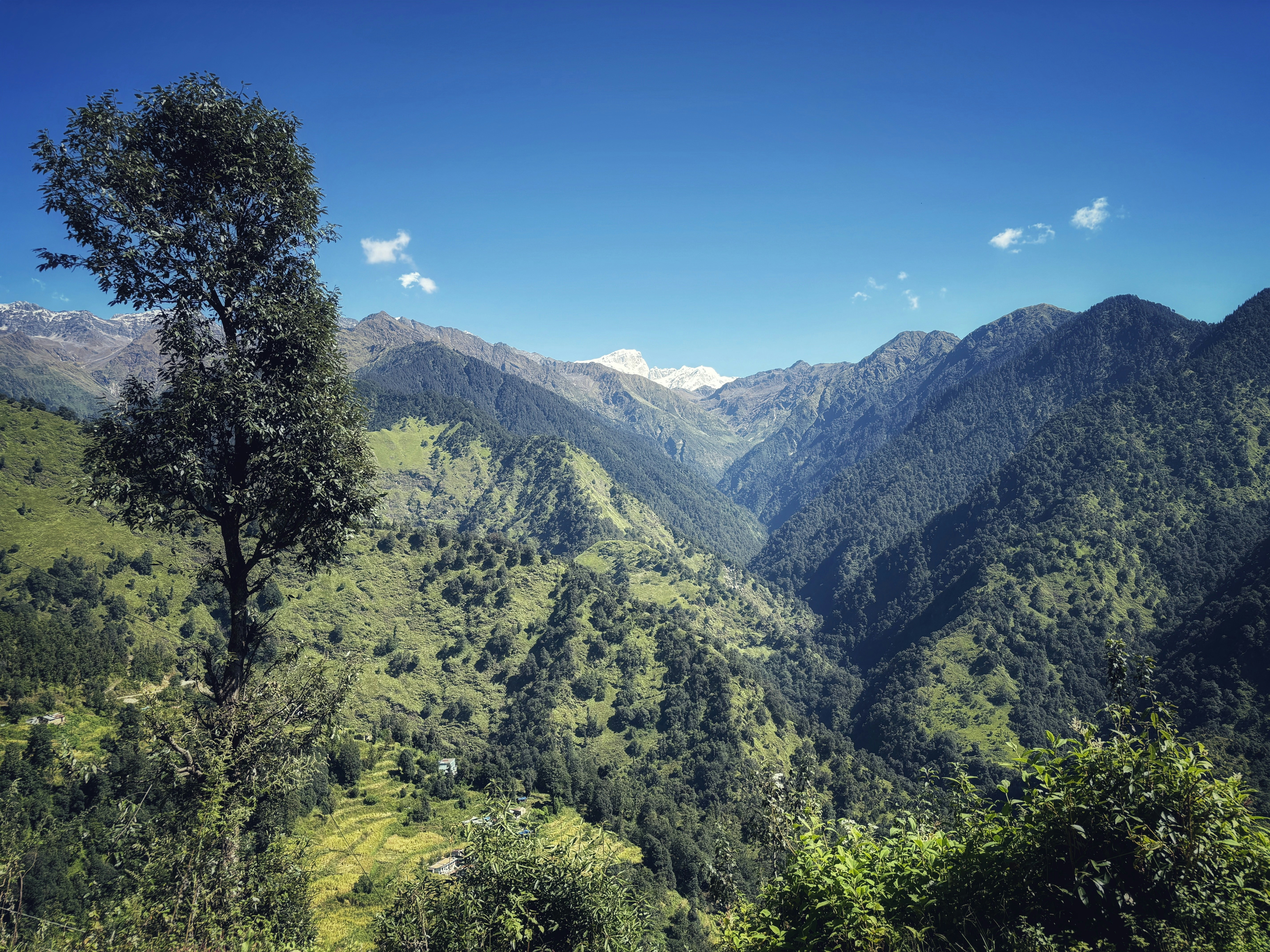 Chepang Landscape proposed as an OECM in Nepal — English Level B2 ...