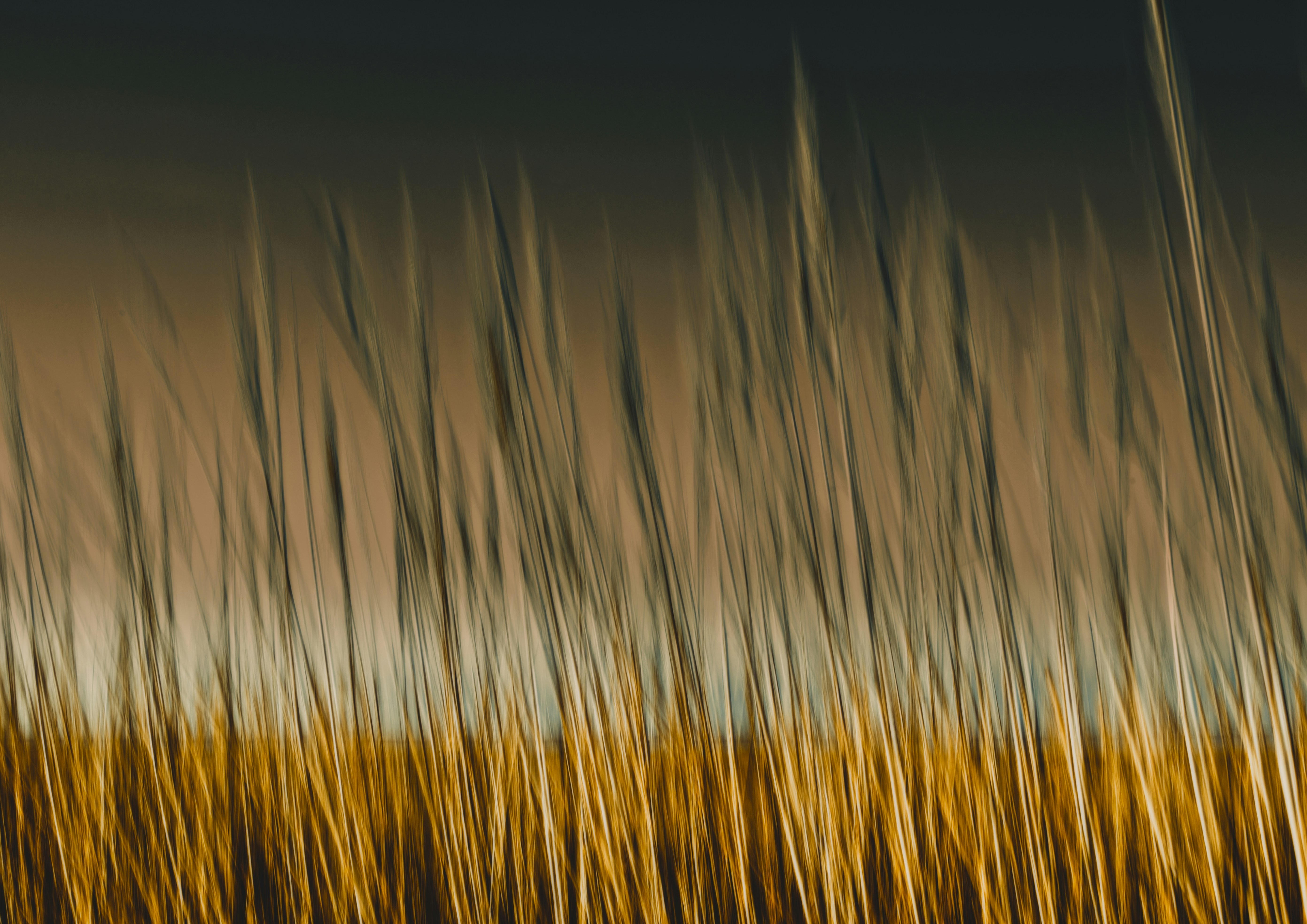 Photo by Robert Clark with Nikon Z6 II