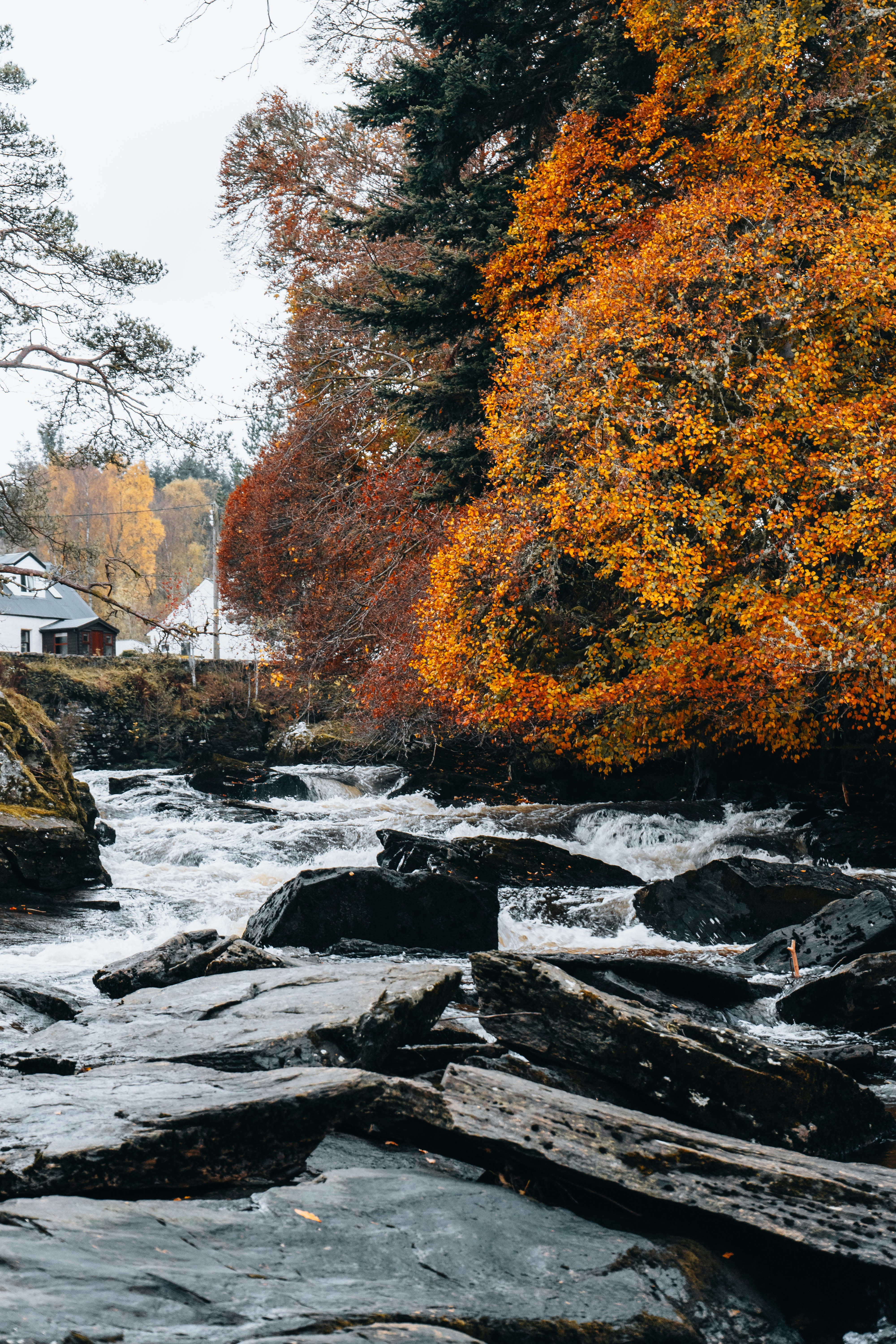 Vibrant autumn foliage frames a rushing river, with smooth rocks scattered along its banks. The scene captures the essence of a tranquil yet dynamic landscape.