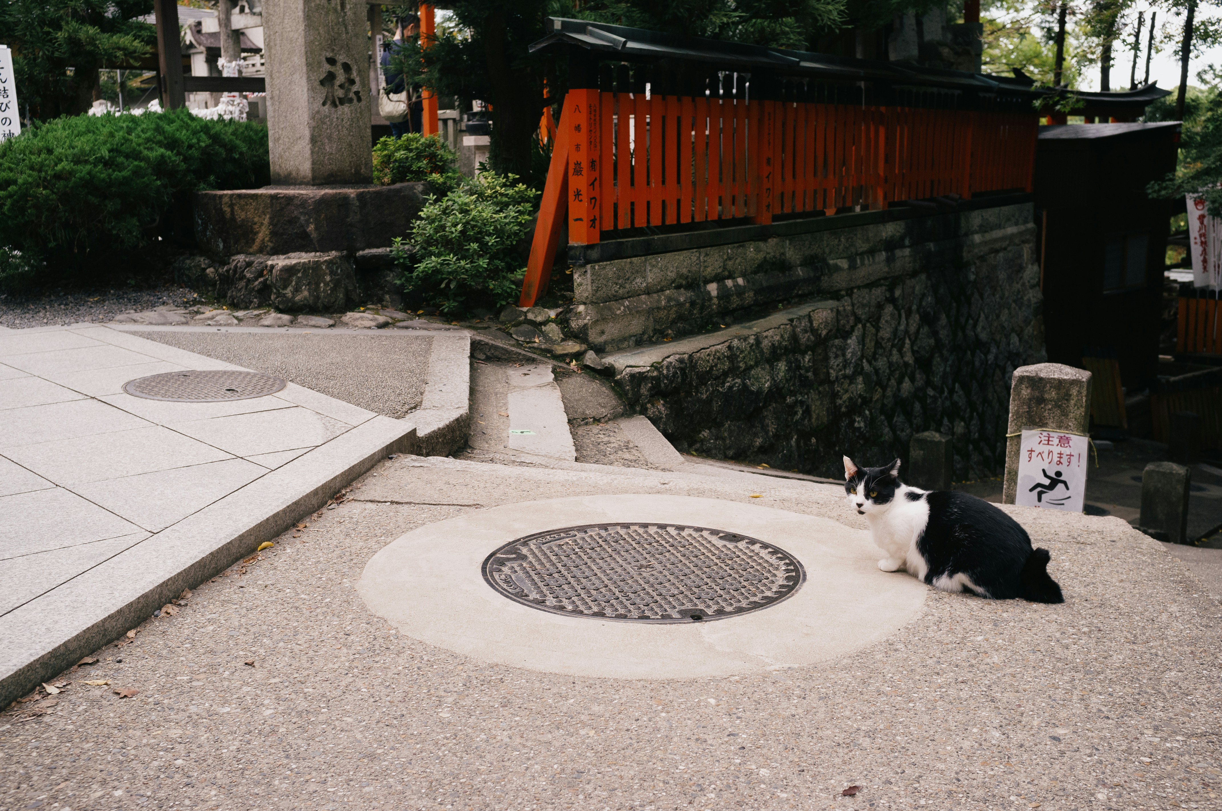 Photo by Nguyen Minh with Fujifilm X100