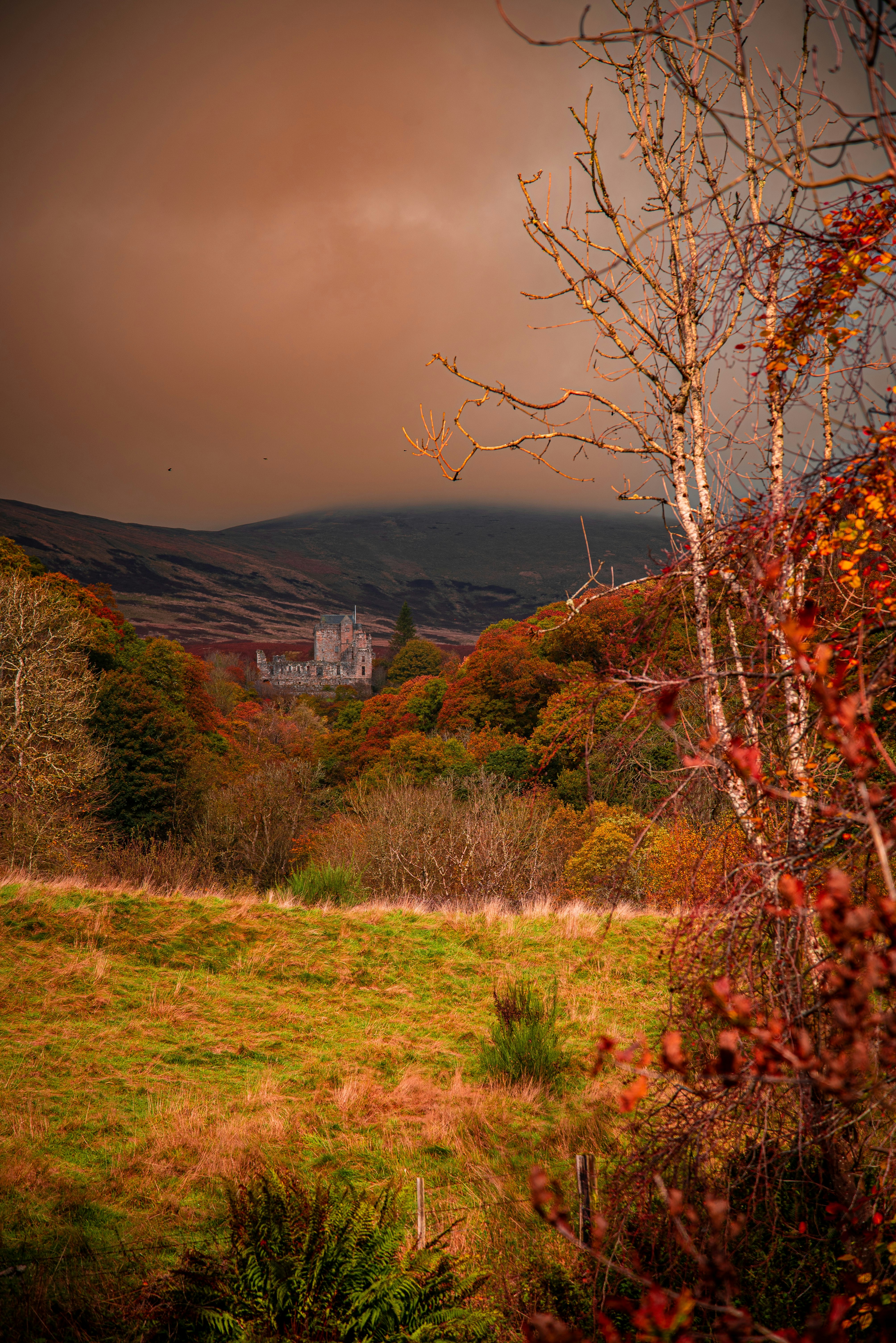 Autumn Valley Abbey Framed by Gold and Ember Trees