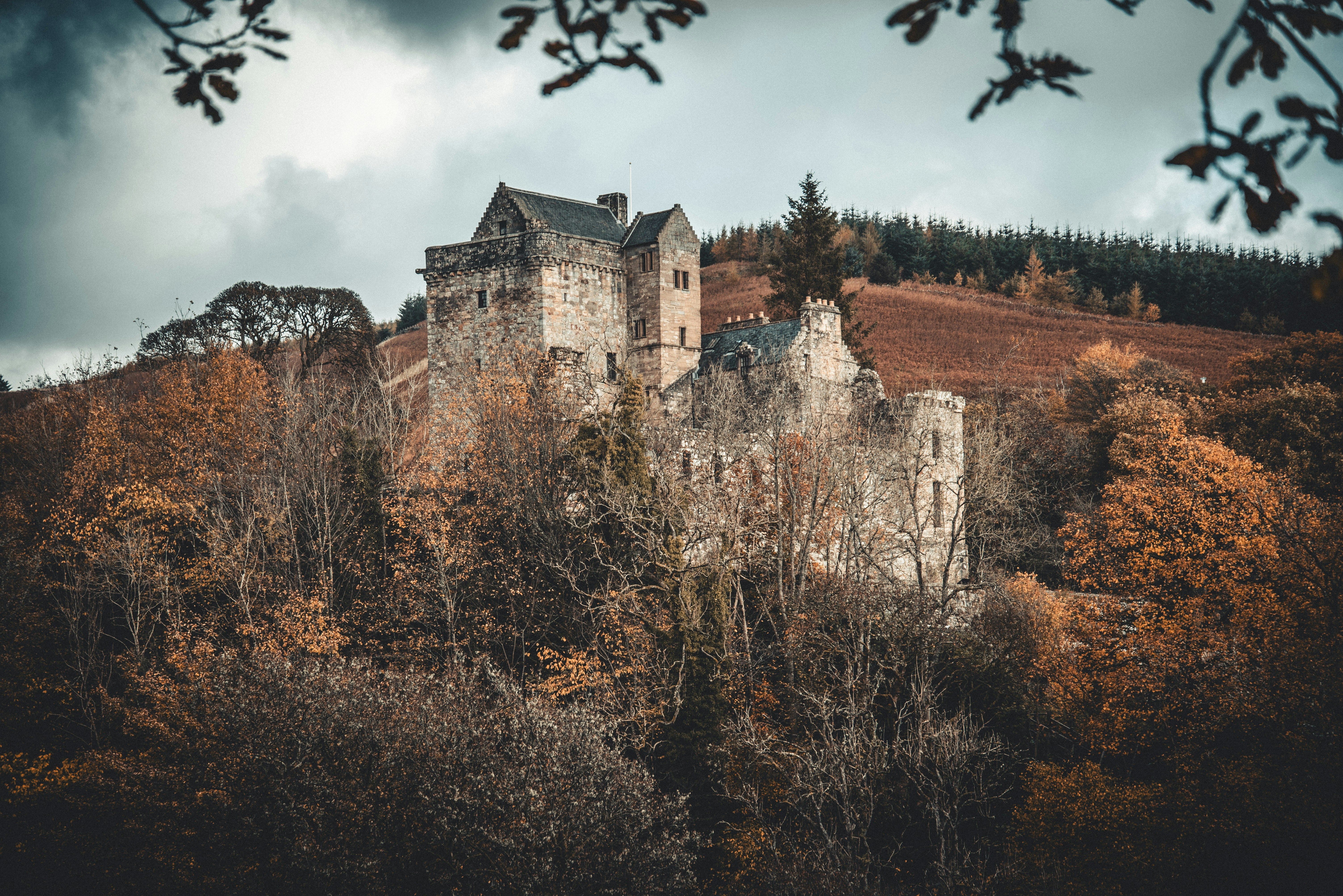 A castle sitting on top of a lush green hillside photo – Free Fortress ...