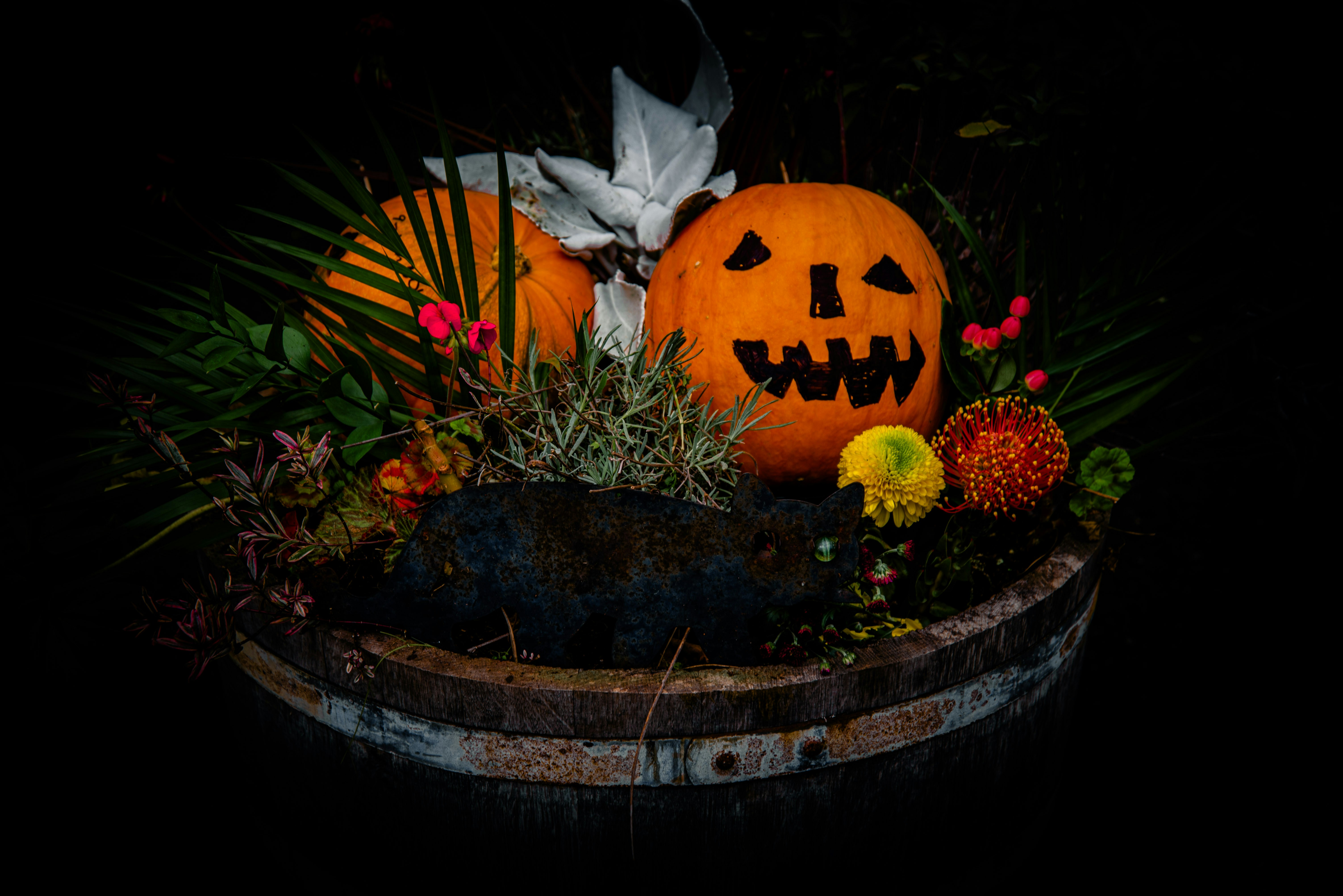 Glowing Grin on a Rusted Barrel: A Halloween Still-Life