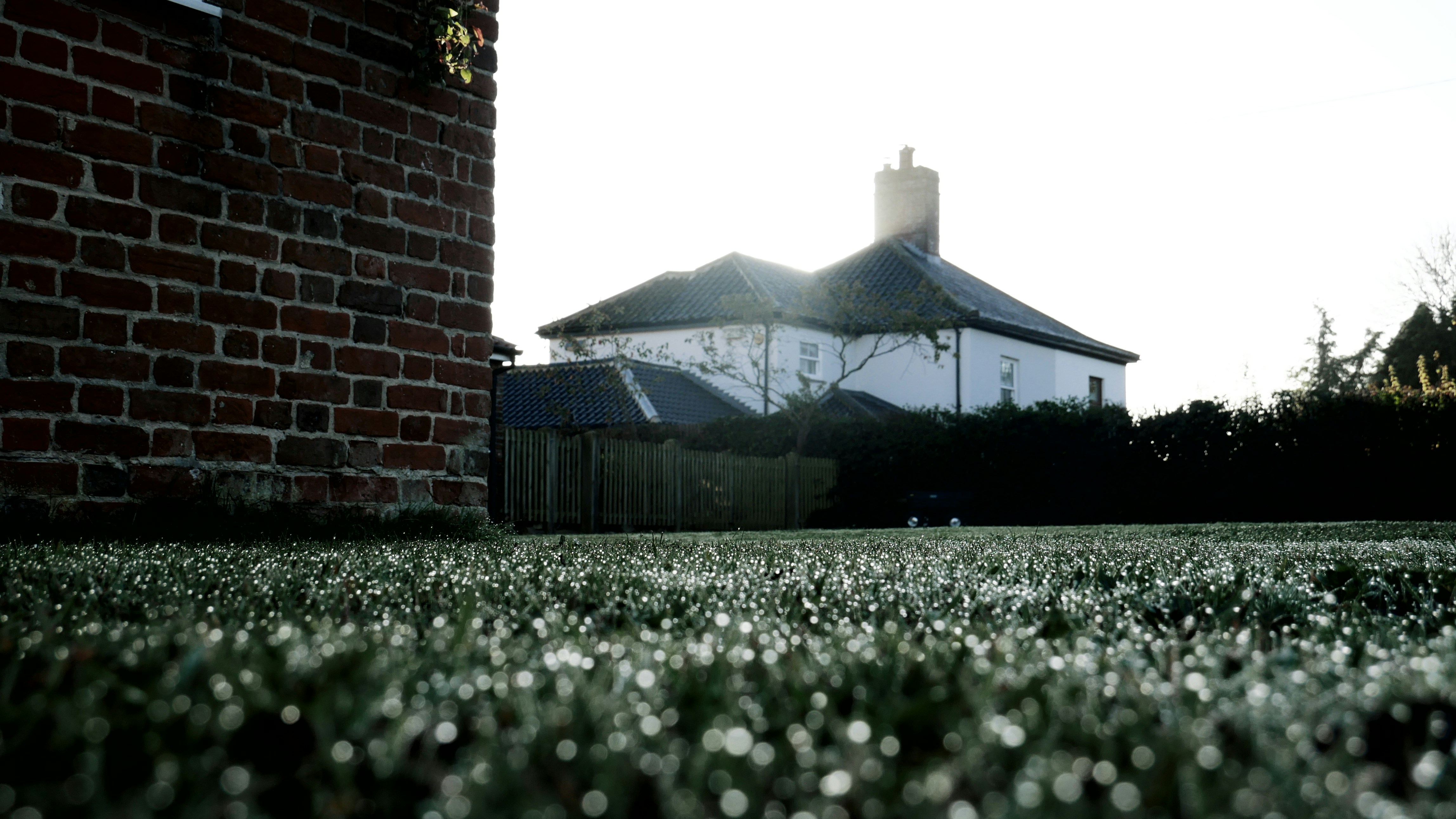Dew-covered grass foreground with a distant white house and dark hedges under a bright sky; a calm suburban scene emphasizing texture and depth. (Note: this is a photograph, not a logo or illustration.)