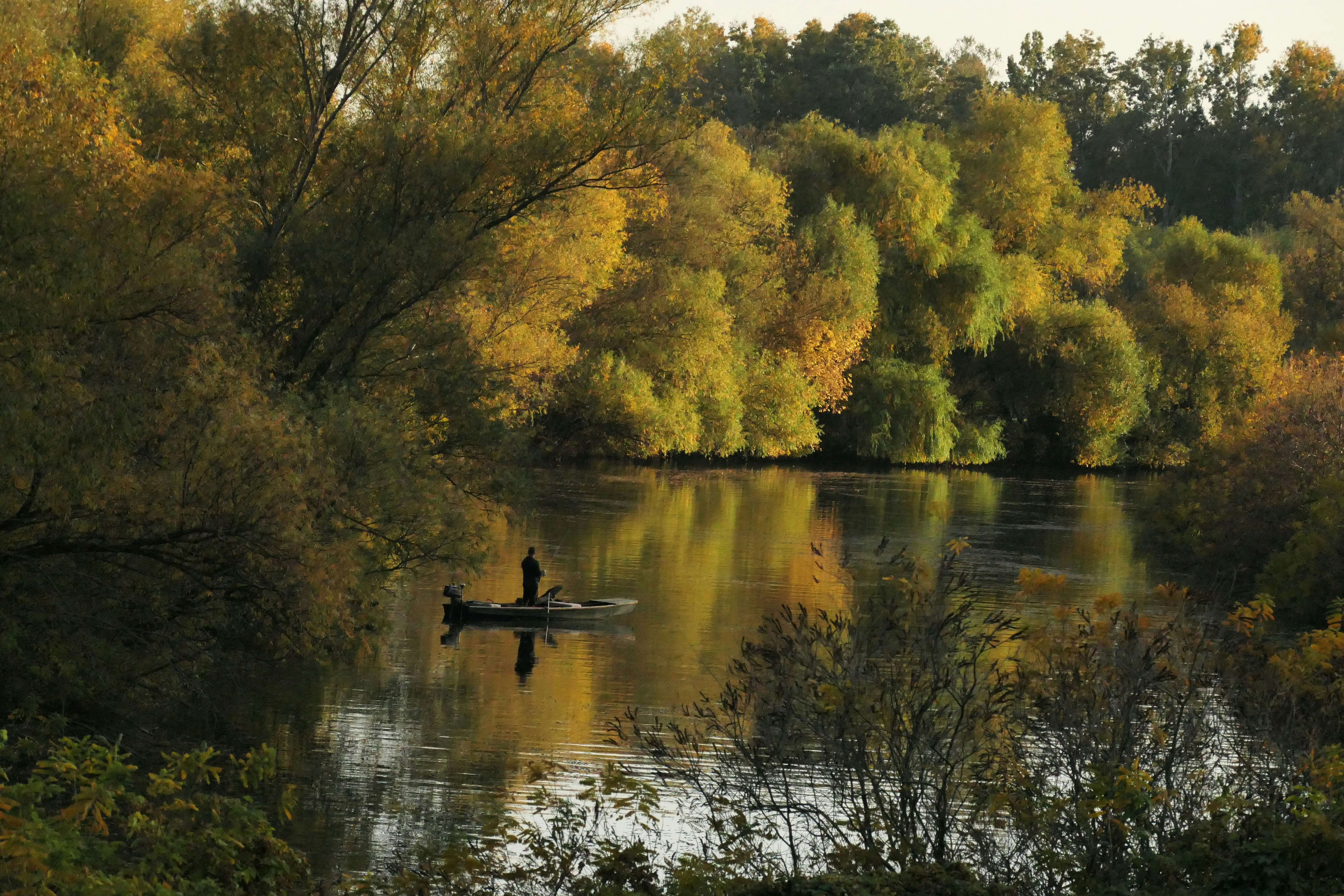 A person in a boat on a lake surrounded by trees
